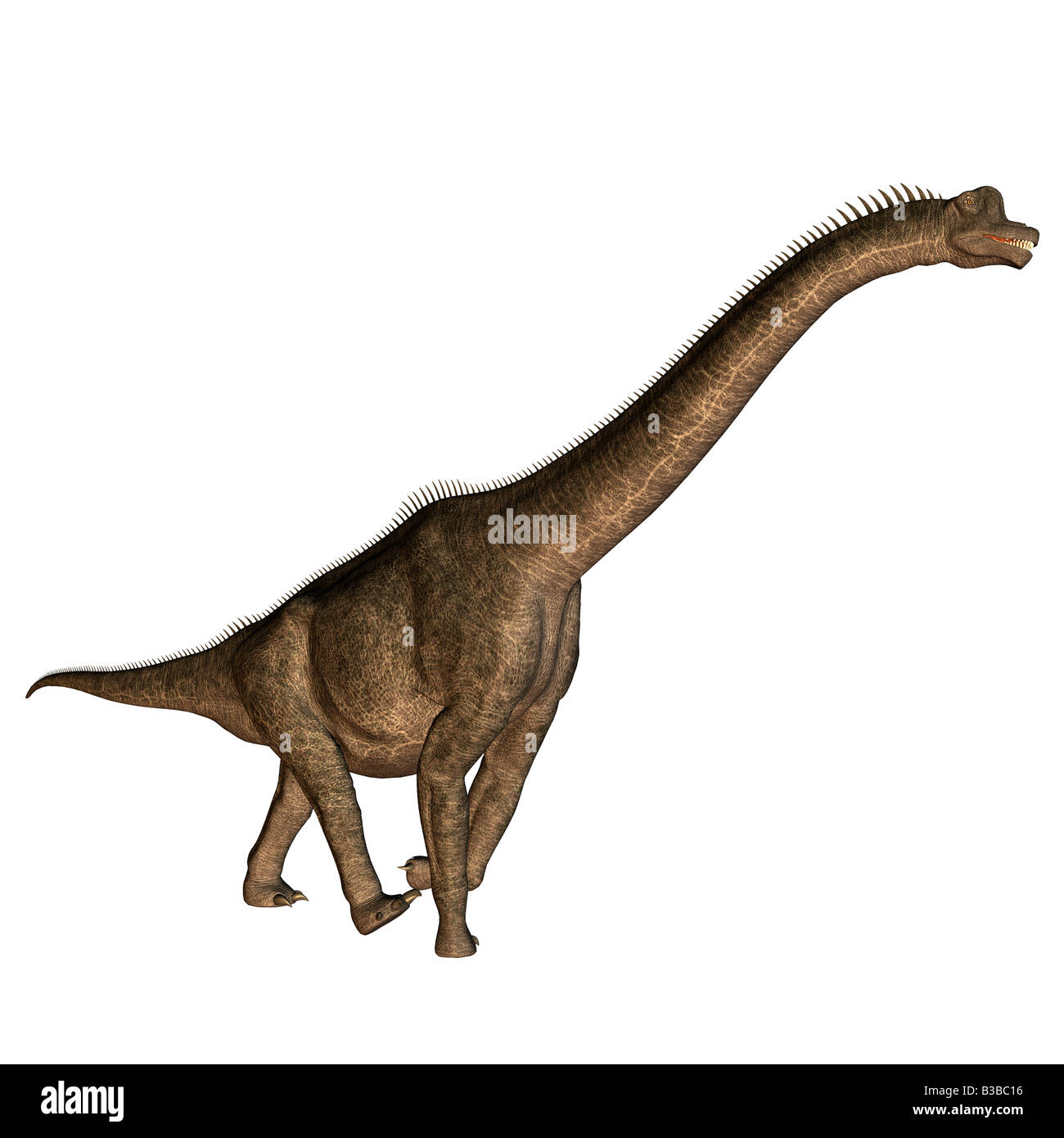 Dinosaur brachiosaurus immagini e fotografie stock ad alta risoluzione ...