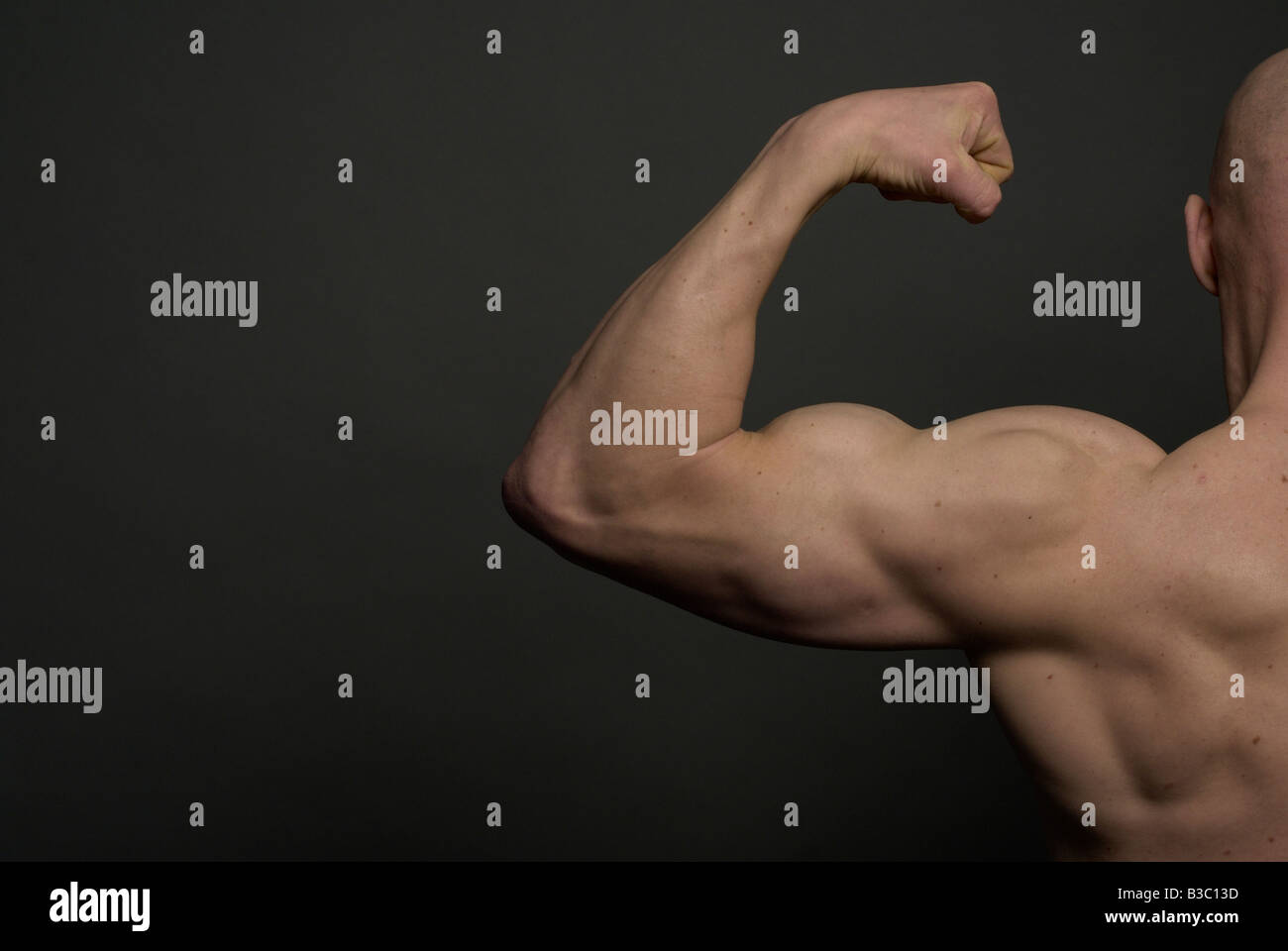 Muscolo del braccio immagini e fotografie stock ad alta risoluzione - Alamy