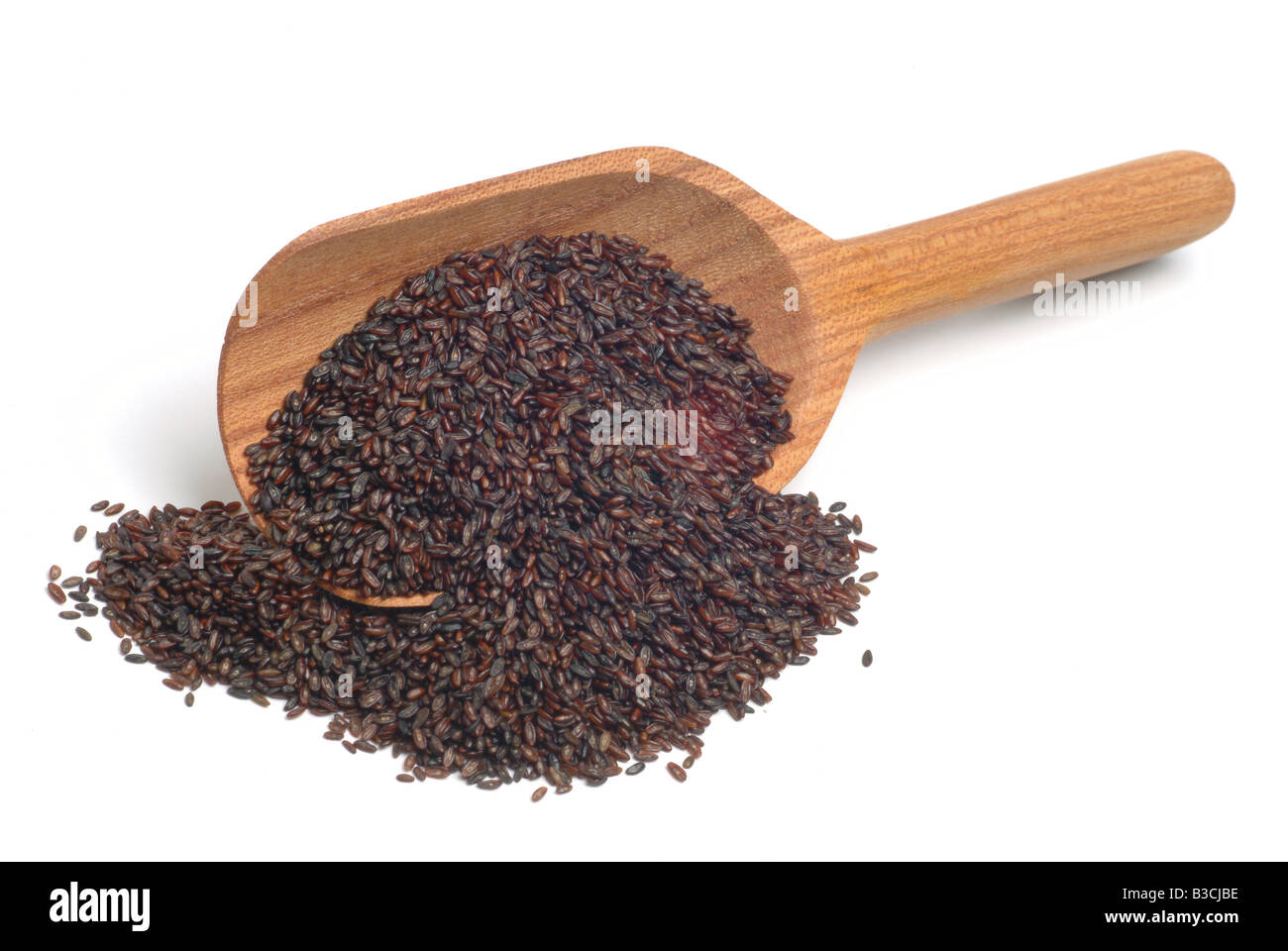 Semi psillio immagini e fotografie stock ad alta risoluzione - Alamy