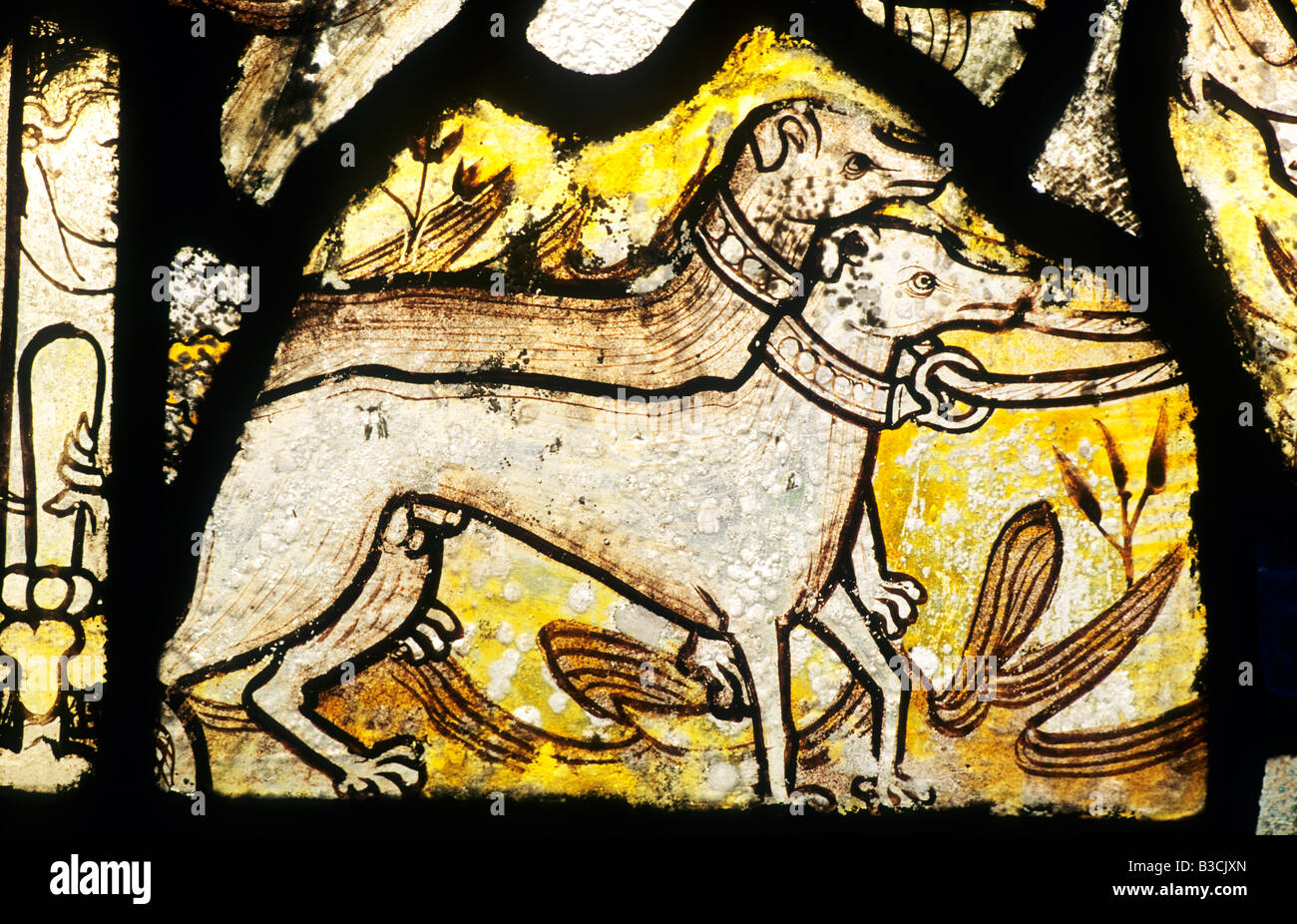 Medieval hunting dogs immagini e fotografie stock ad alta risoluzione ...