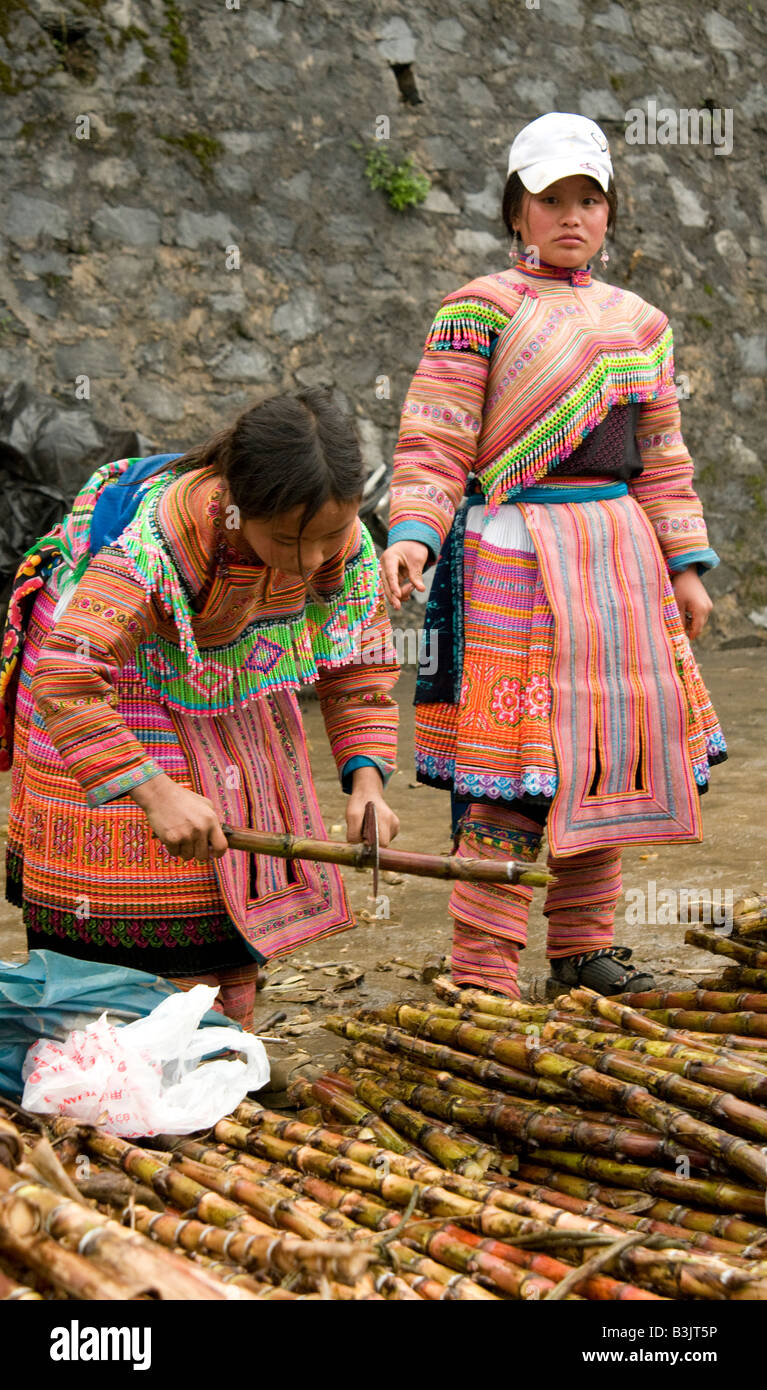 Ragazze tribali vietnamite immagini e fotografie stock ad alta ...