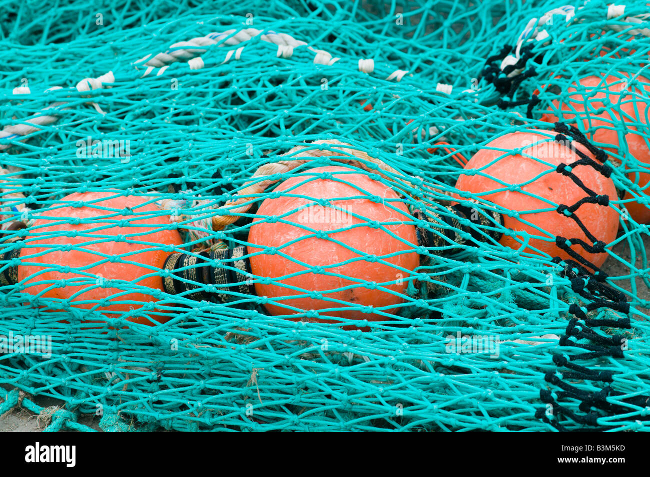 Reti pescano immagini e fotografie stock ad alta risoluzione - Alamy