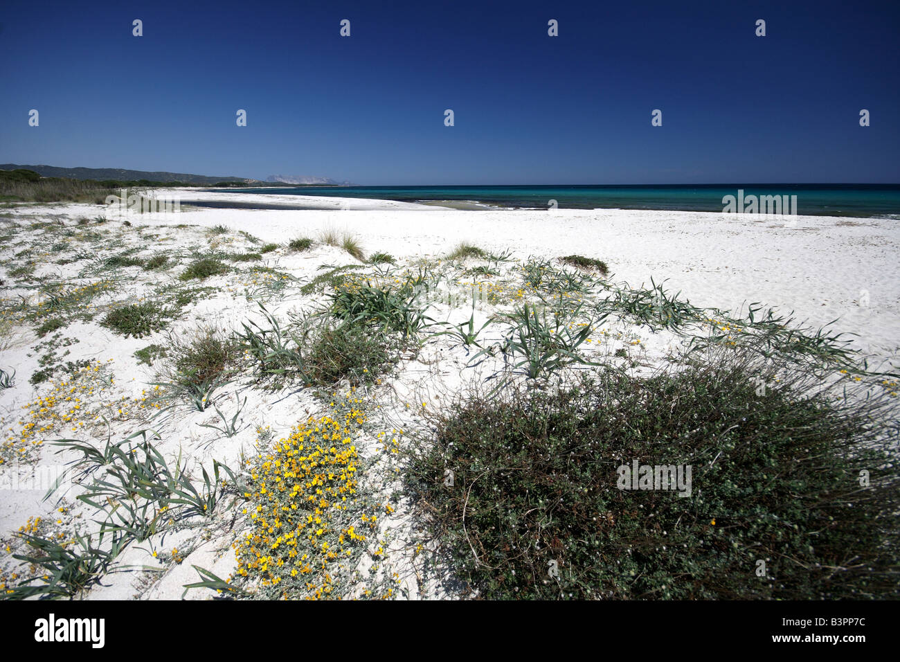 Cala budoni immagini e fotografie stock ad alta risoluzione - Alamy