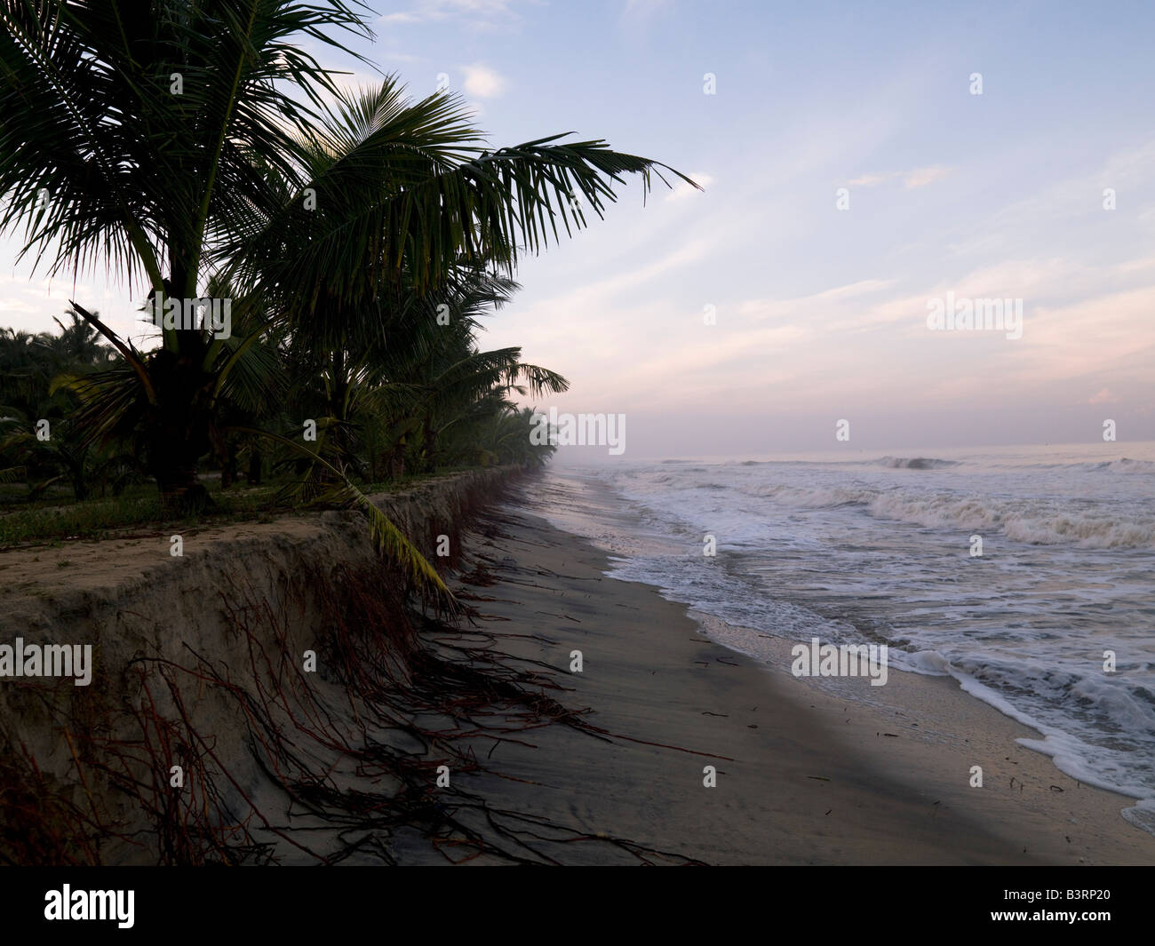 Turismo india spiagge kerala immagini e fotografie stock ad alta ...
