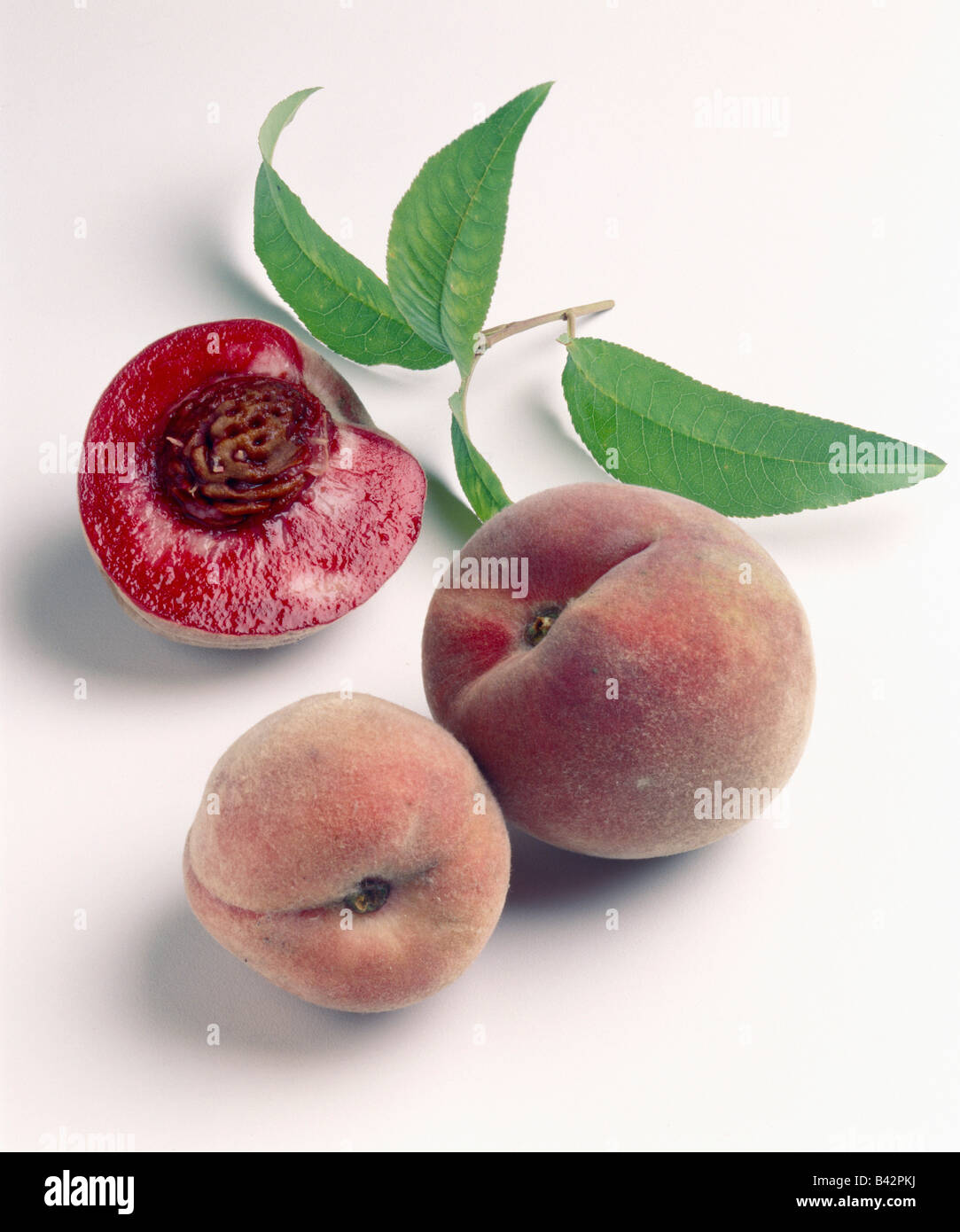 Pesche selvatiche immagini e fotografie stock ad alta risoluzione - Alamy