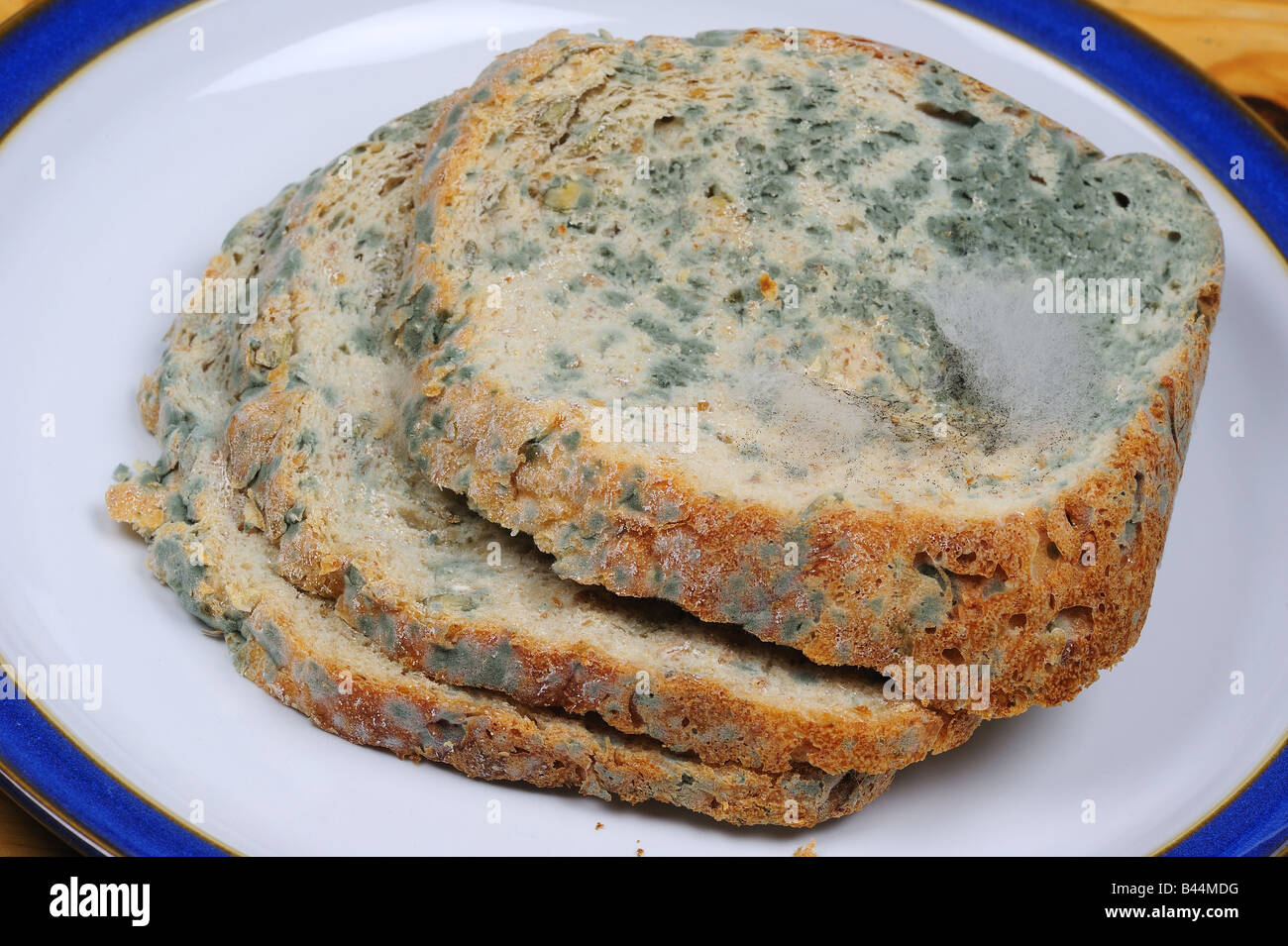 Muffa del pane immagini e fotografie stock ad alta risoluzione - Alamy