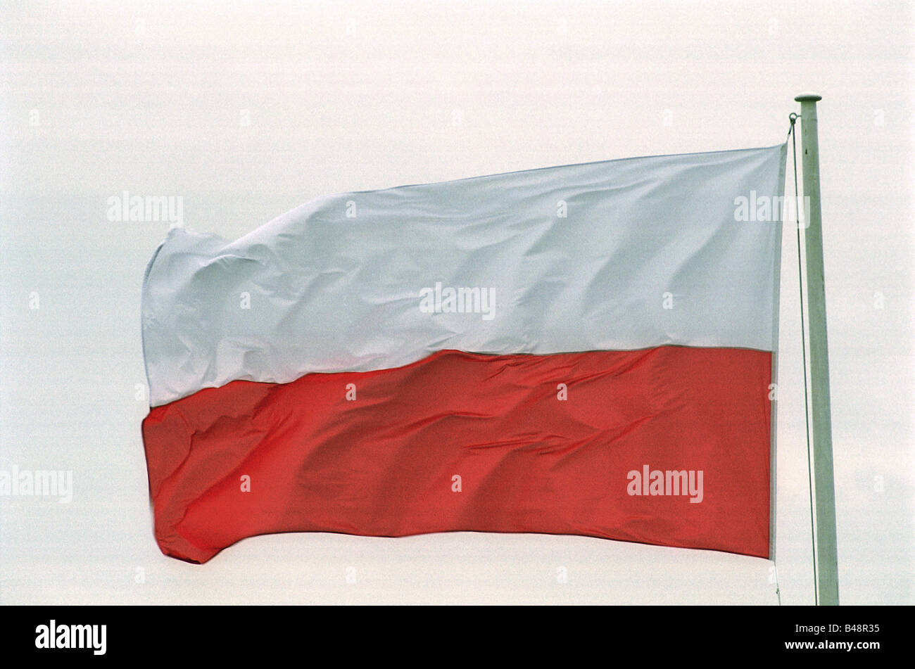 Colori della bandiera polacca immagini e fotografie stock ad alta ...