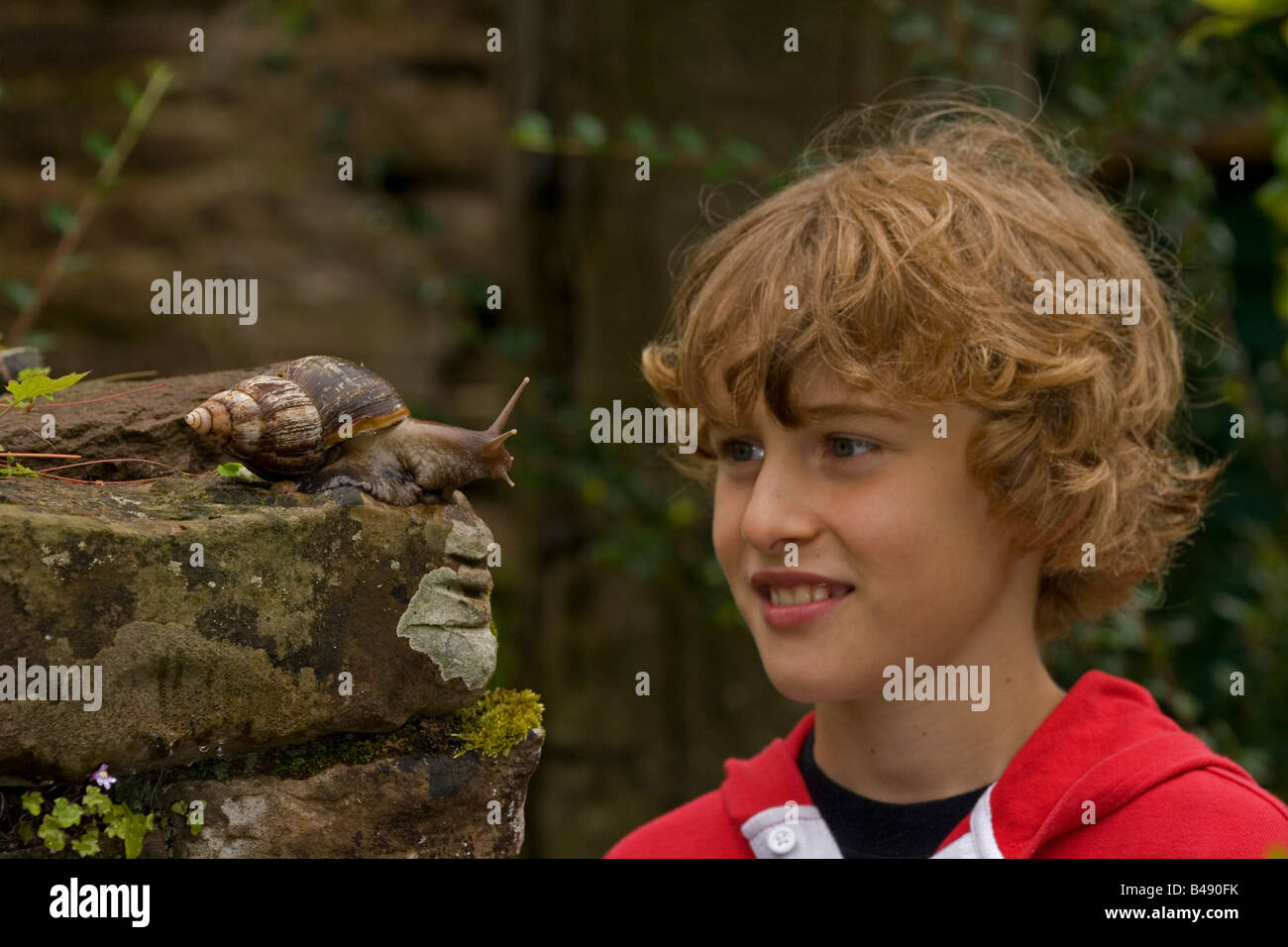 Animales terrestres para niños immagini e fotografie stock ad alta ...