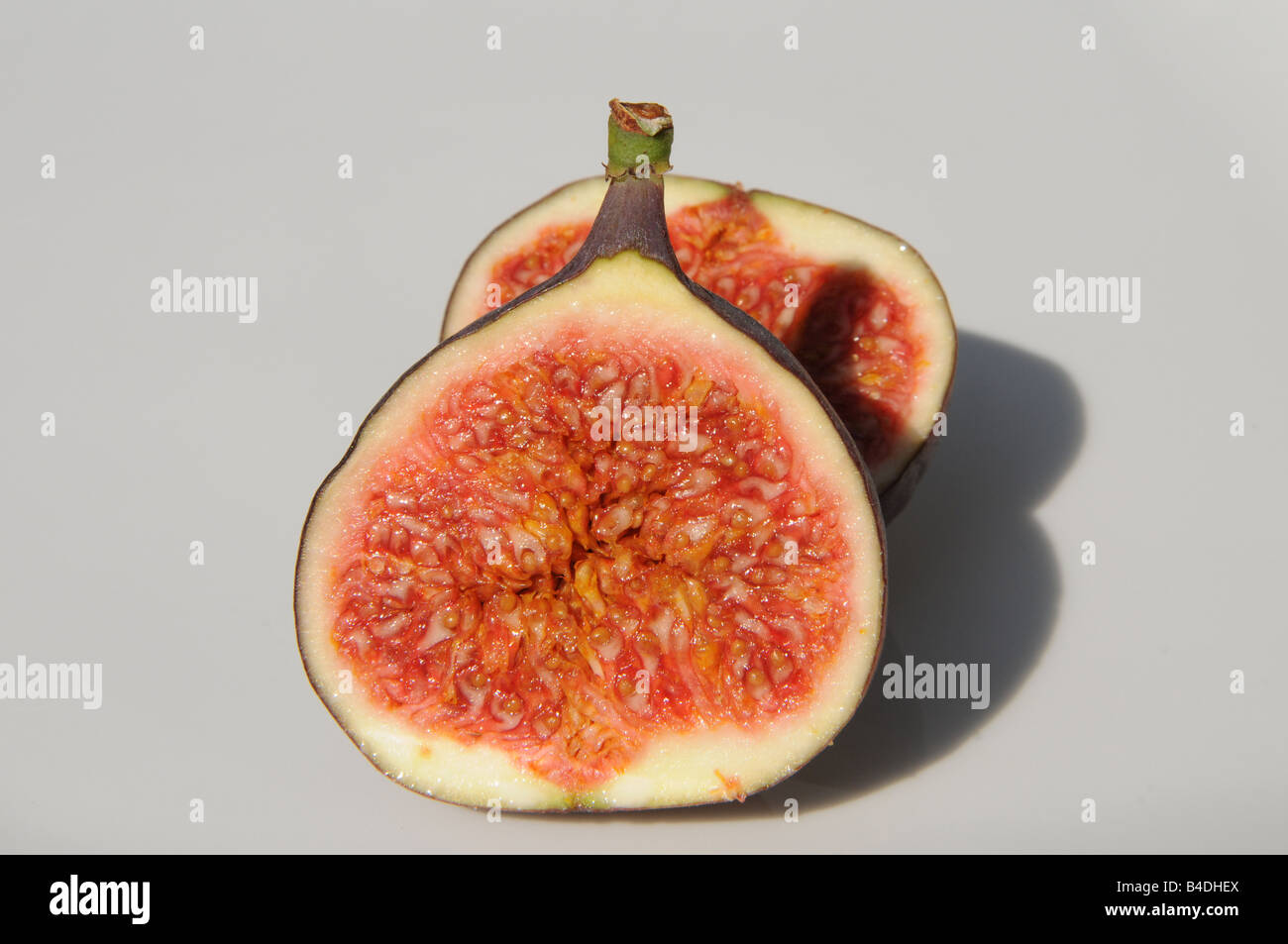 Immagini di fico immagini e fotografie stock ad alta risoluzione - Alamy