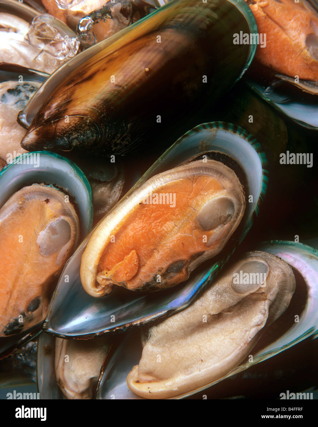 Cozze richard immagini e fotografie stock ad alta risoluzione - Alamy