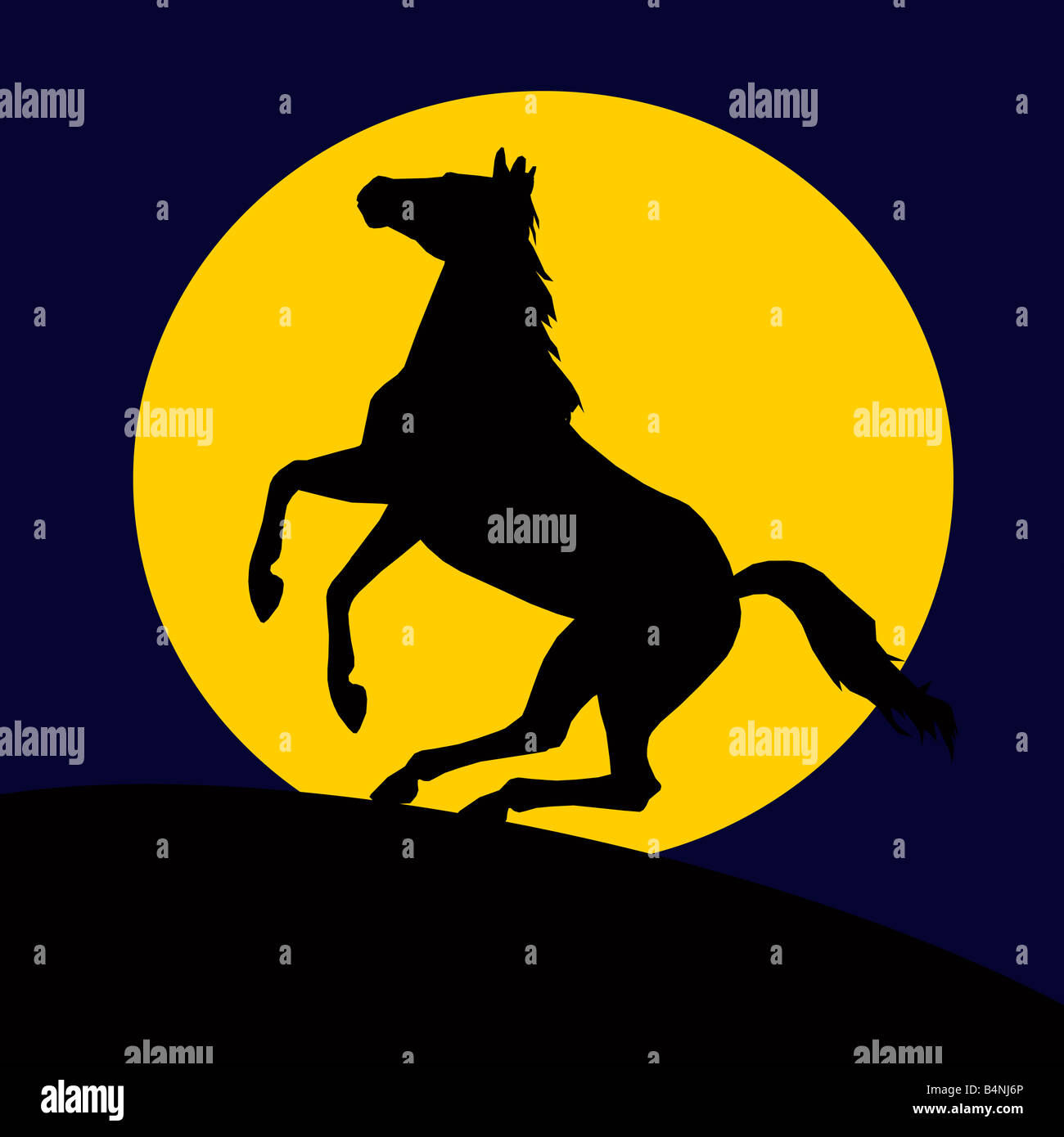 Cavallo che salta libero immagini e fotografie stock ad alta ...