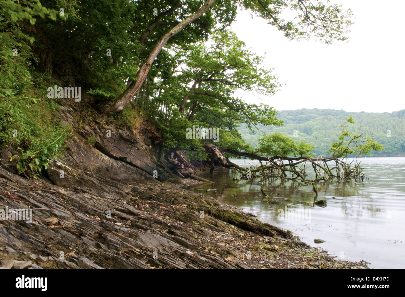 Riva estuario immagini e fotografie stock ad alta risoluzione - Alamy
