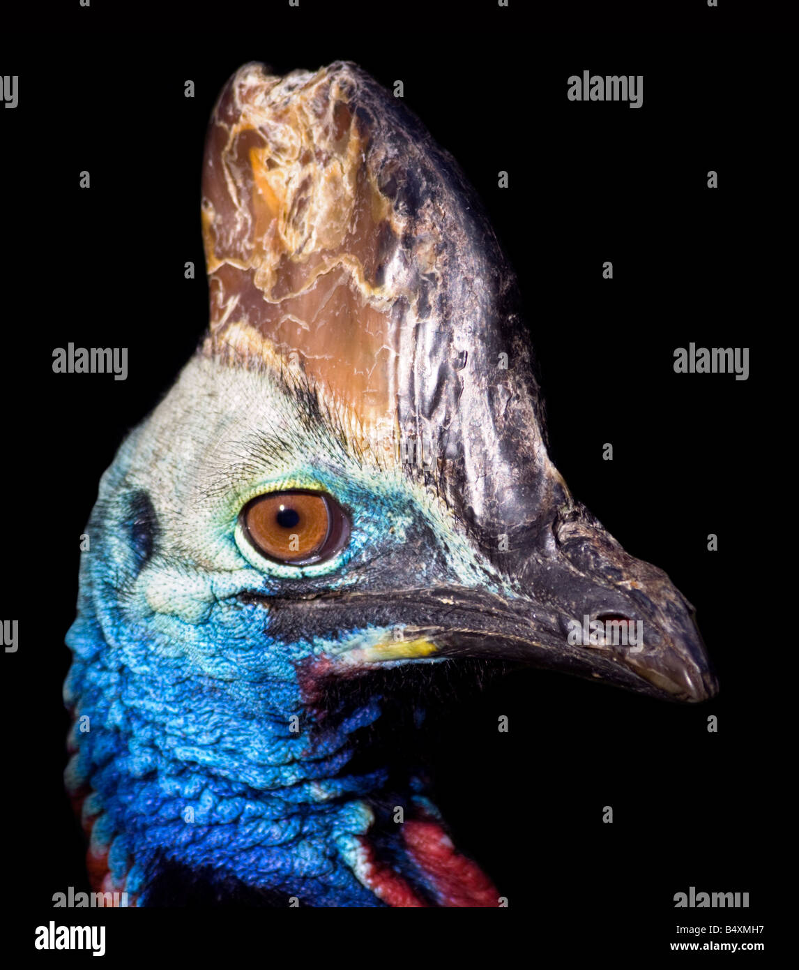 Profilo casuario immagini e fotografie stock ad alta risoluzione - Alamy