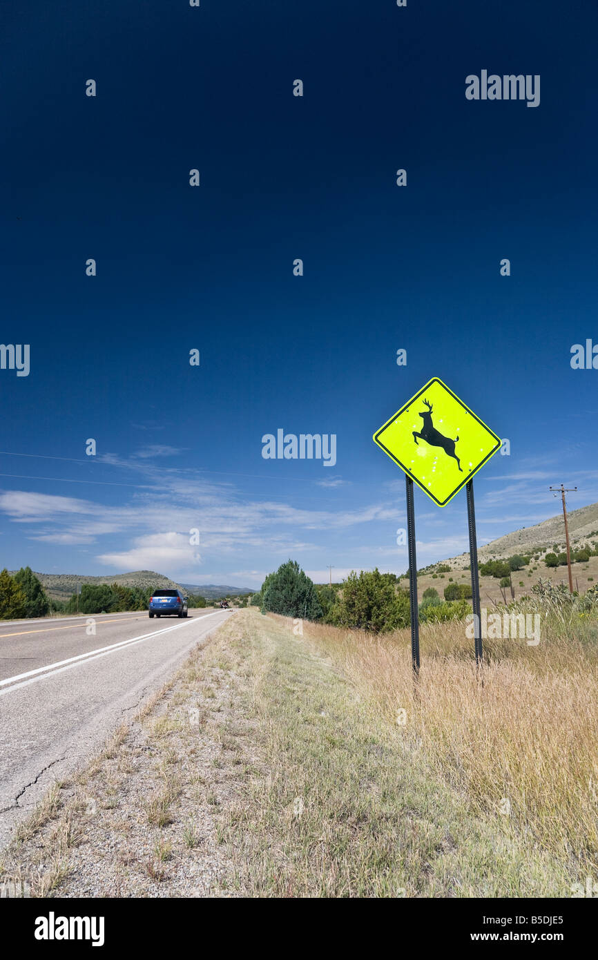 Cartello stradale di attraversamento dei cervi immagini e fotografie ...