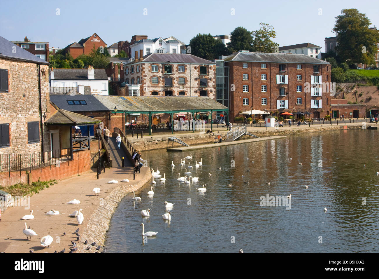 Centro città exeter immagini e fotografie stock ad alta risoluzione - Alamy