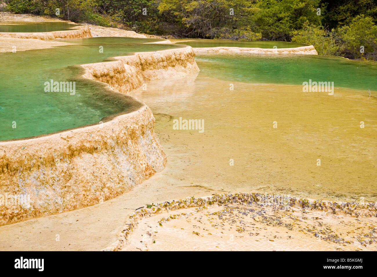 Pool di colori calcificati immagini e fotografie stock ad alta ...