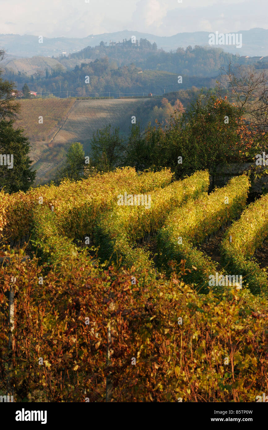 Langhe e roero immagini e fotografie stock ad alta risoluzione - Alamy