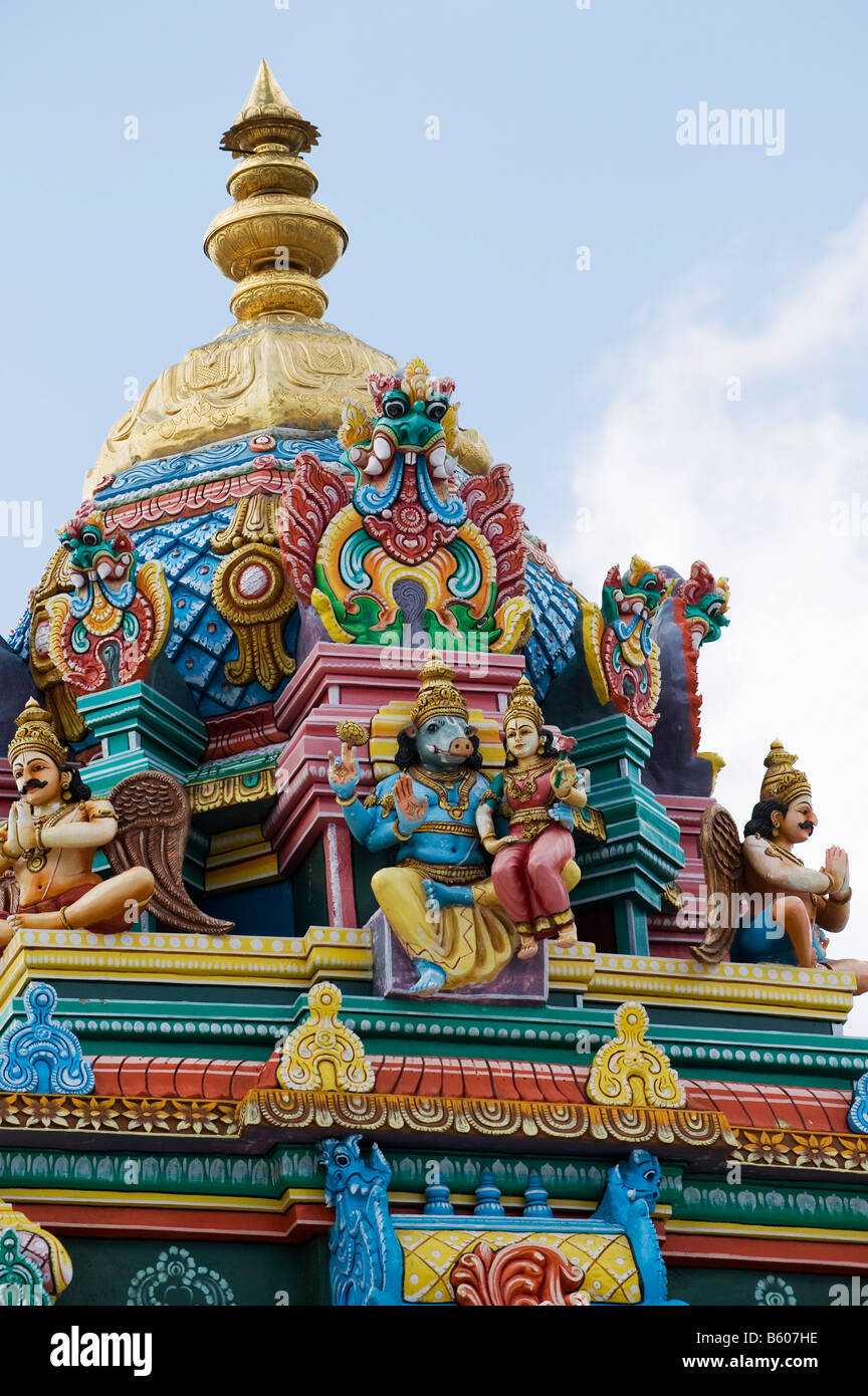 Divinità indù, dipinta statua, sul Signore Lakshmi Narasimha Swamy ...