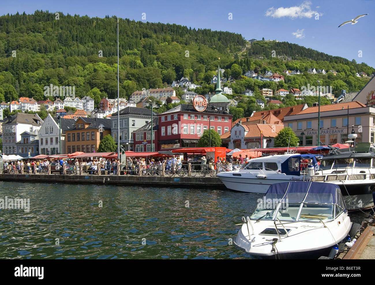 Ecosistema storico immagini e fotografie stock ad alta risoluzione - Alamy