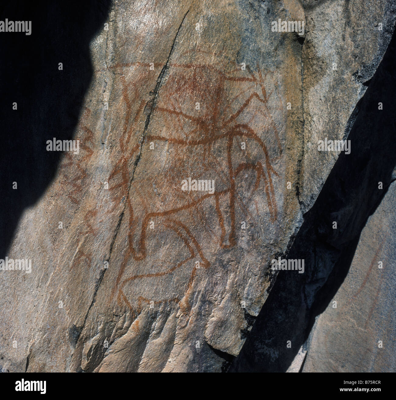 Pitture rupestri paleolitiche immagini e fotografie stock ad alta ...