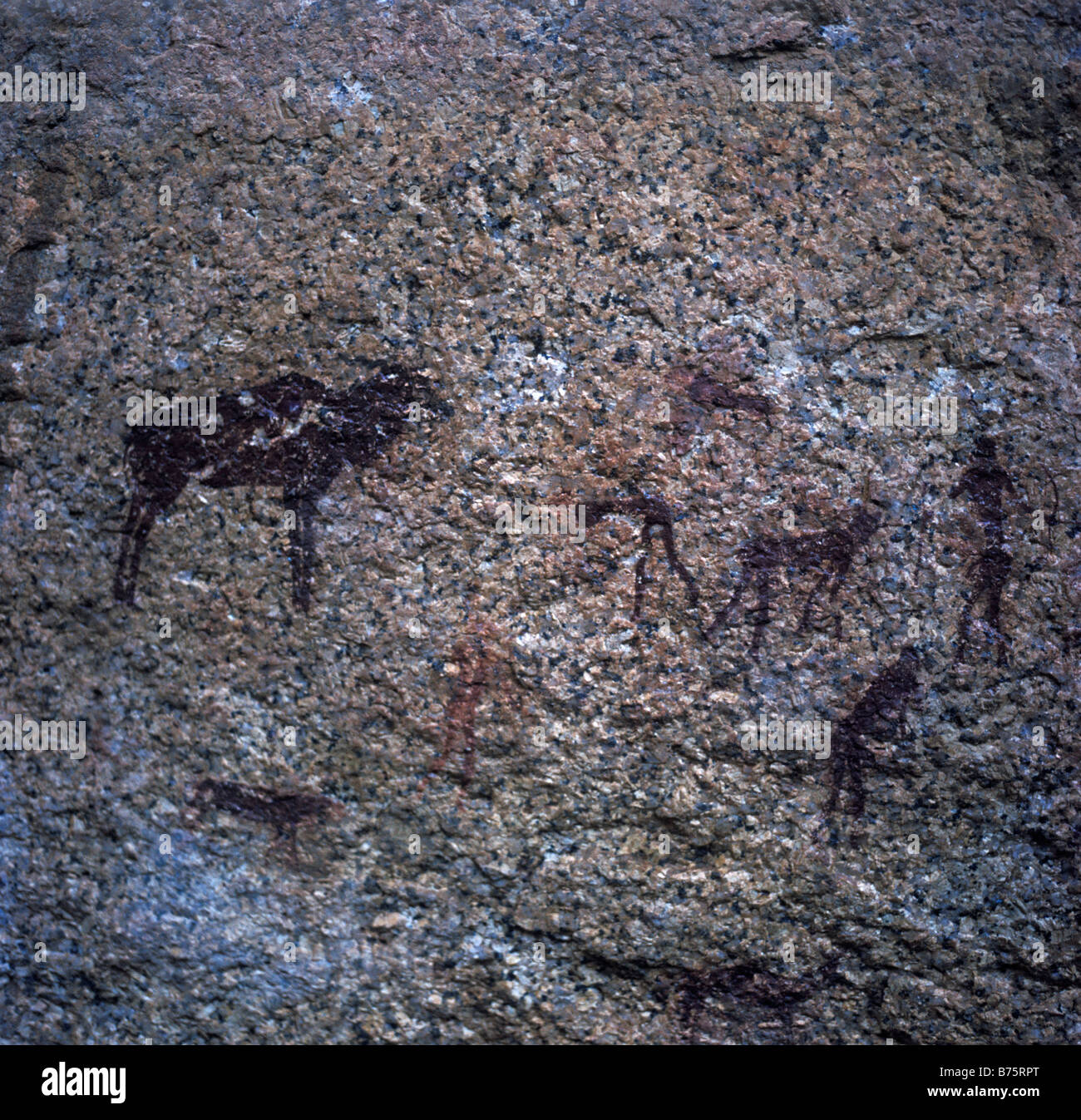 Pitture rupestri paleolitiche immagini e fotografie stock ad alta ...