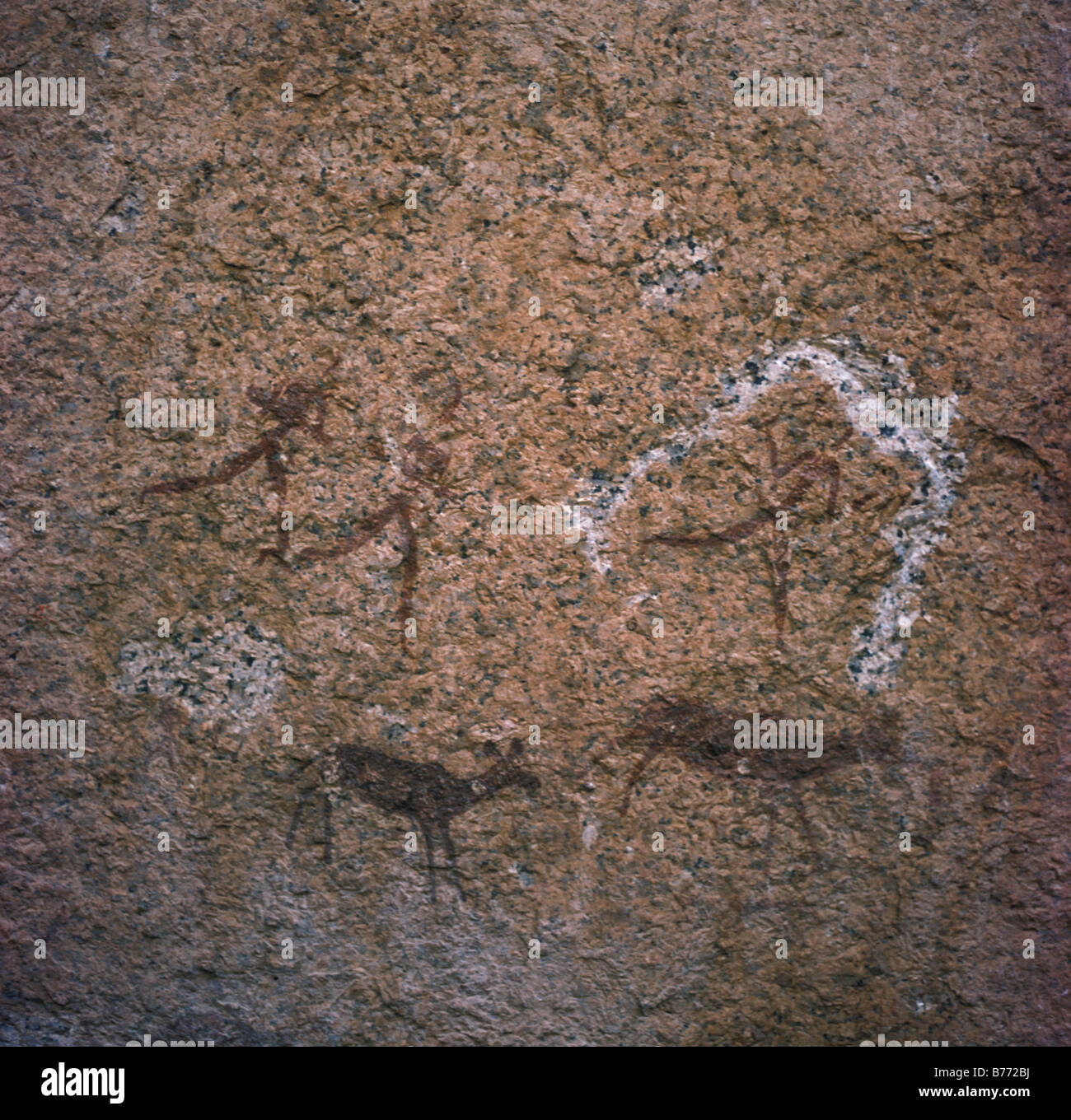 Pitture rupestri paleolitiche immagini e fotografie stock ad alta ...