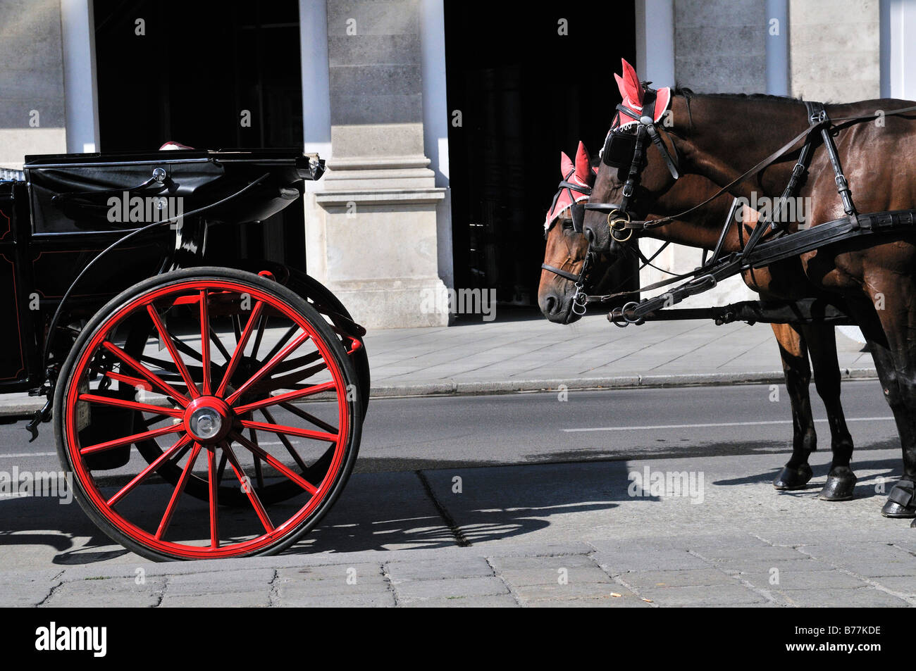 Carrozza carrozza carrozza kutsche fiaker immagini e fotografie stock ...