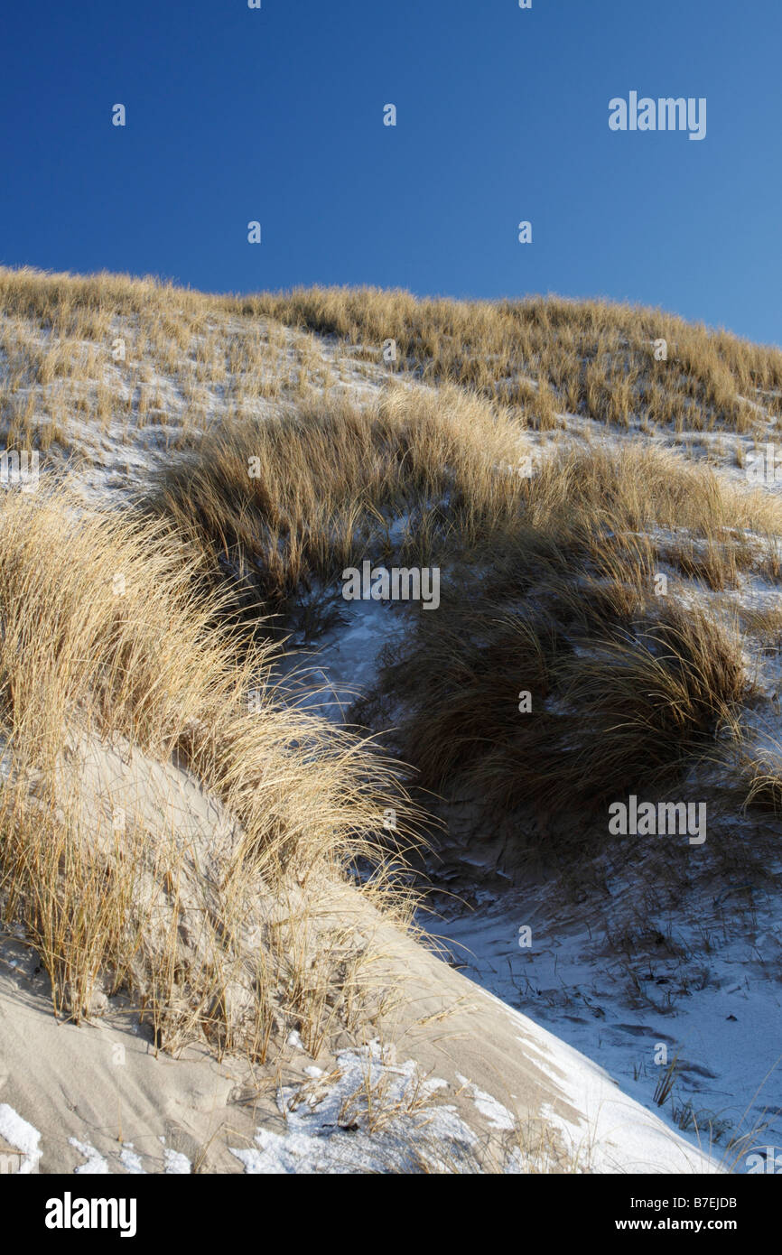 Danimarca hvide sande immagini e fotografie stock ad alta risoluzione ...