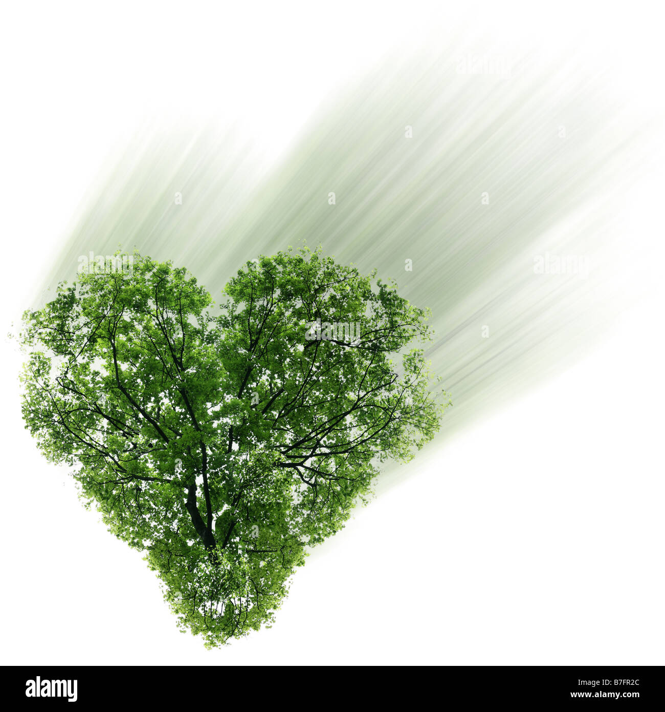 Cuore su uno sfondo cielo come rami di alberi Foto stock - Alamy
