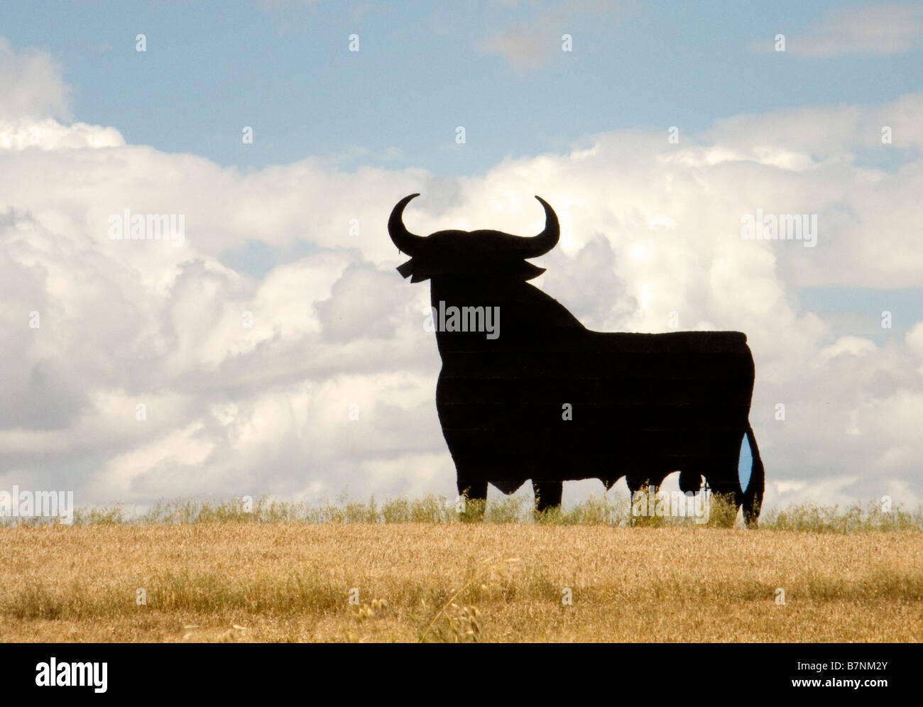 Simbolo del toro spagnolo pubblicitario per osborne immagini e ...