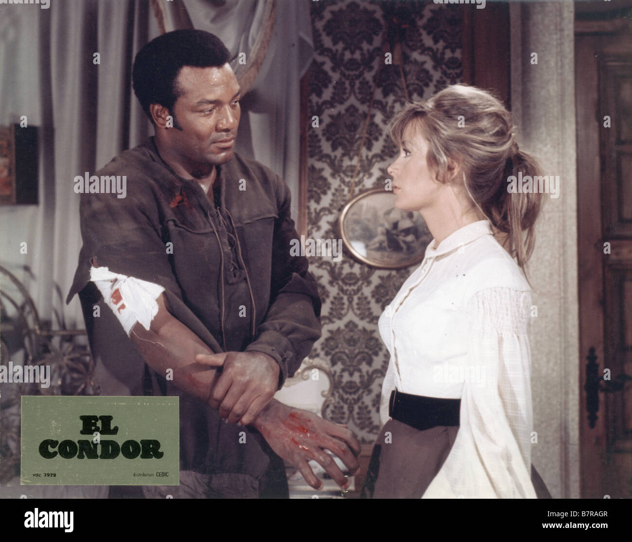 El condor immagini e fotografie stock ad alta risoluzione - Alamy