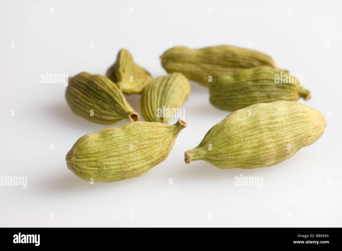Green cardamom pods immagini e fotografie stock ad alta risoluzione - Alamy
