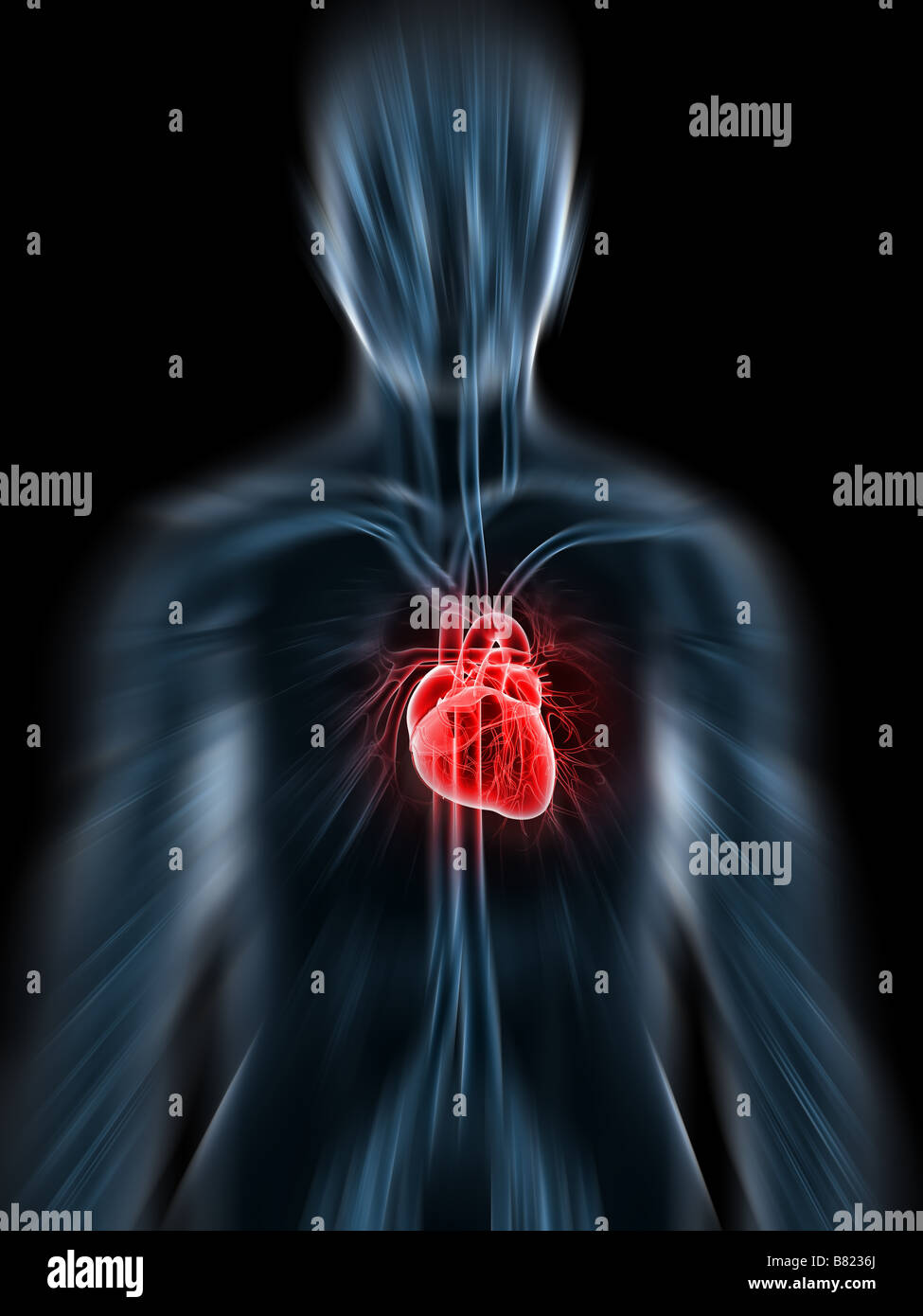 Radiografia del cuore immagini e fotografie stock ad alta risoluzione ...