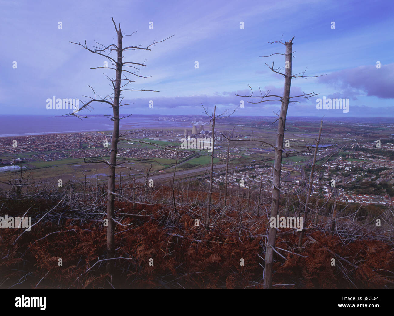 Pioggia acida immagini e fotografie stock ad alta risoluzione - Alamy