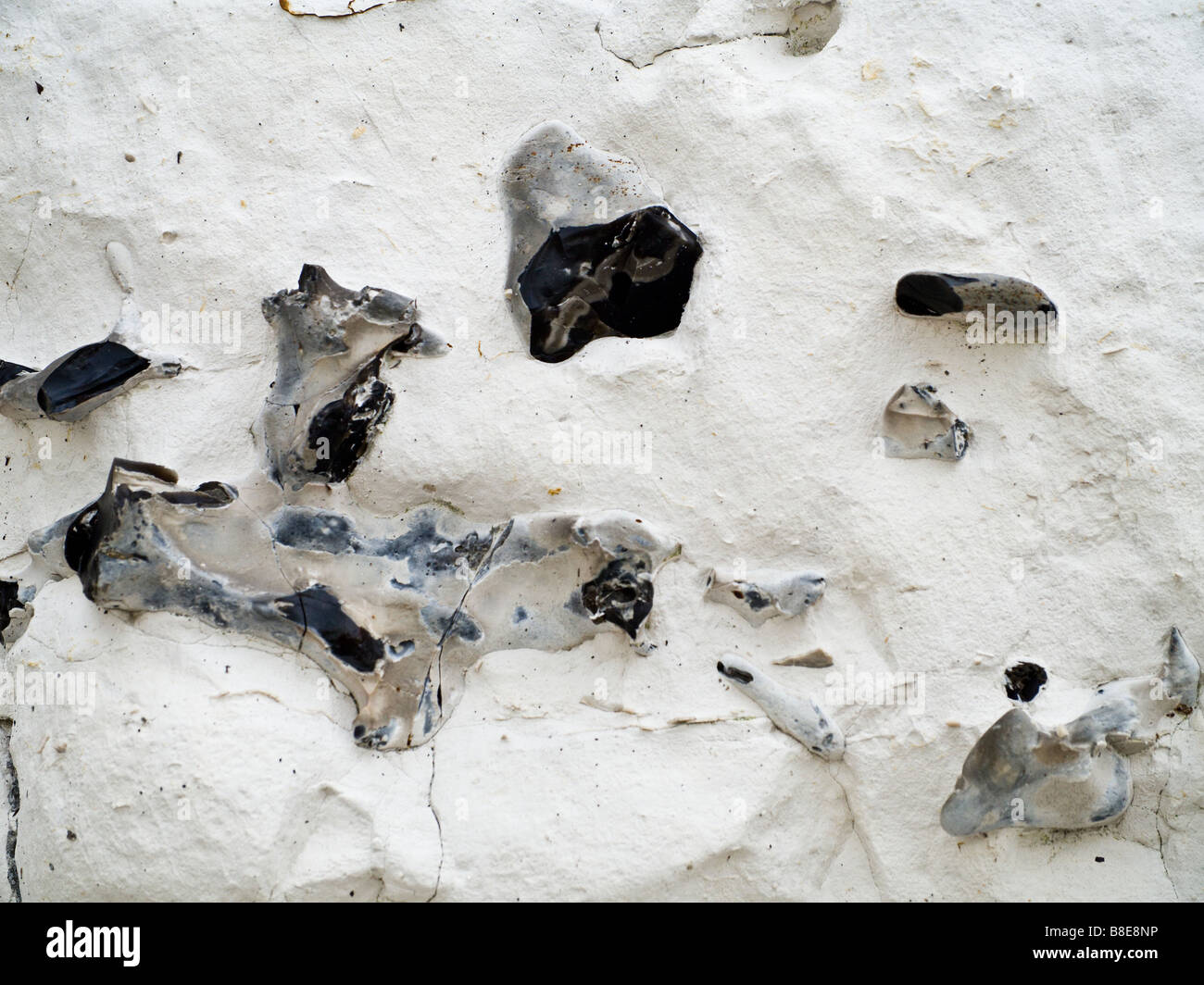 Selce roccia immagini e fotografie stock ad alta risoluzione - Alamy