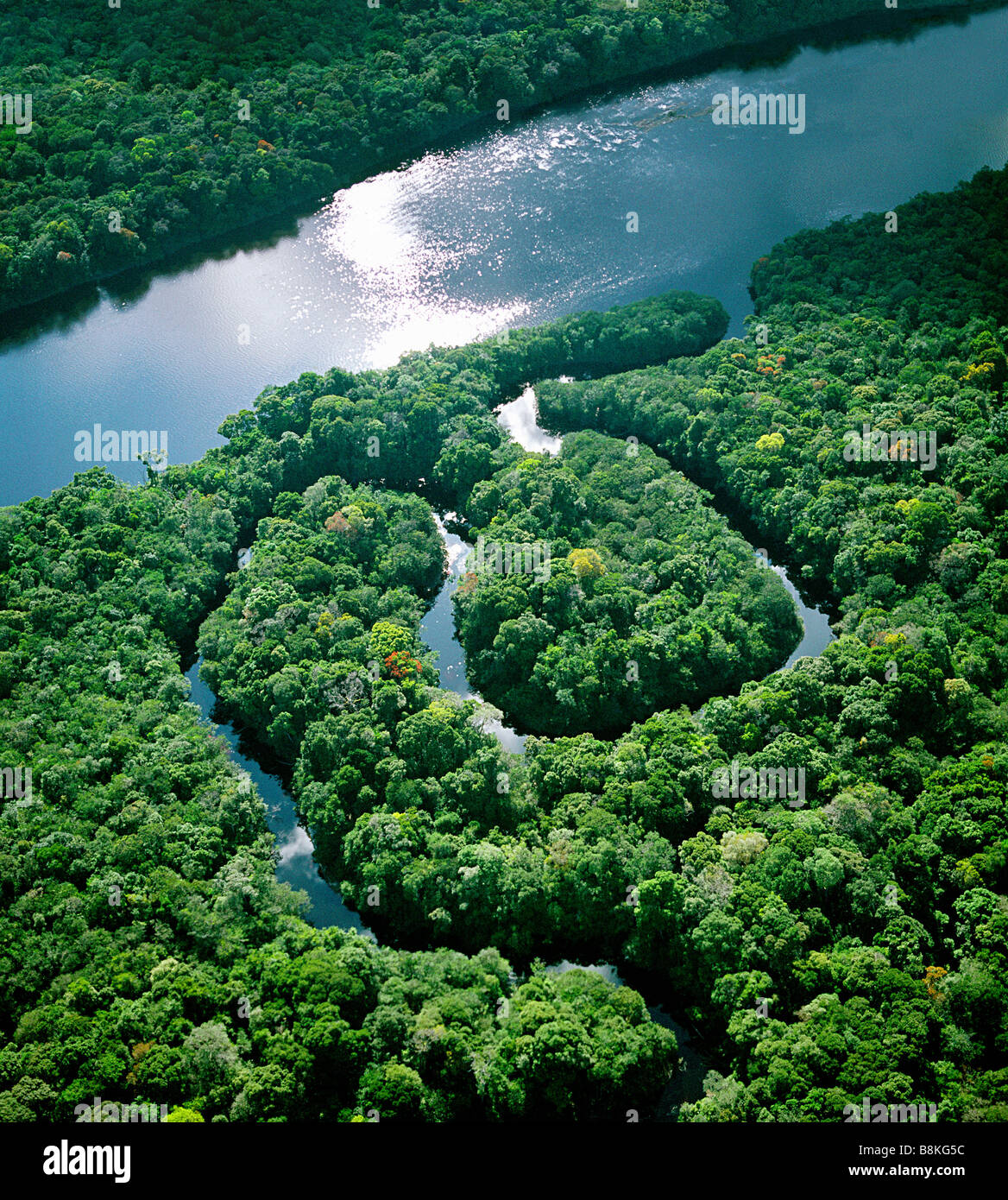 Aereo della foresta pluviale amazzonica immagini e fotografie stock ad ...
