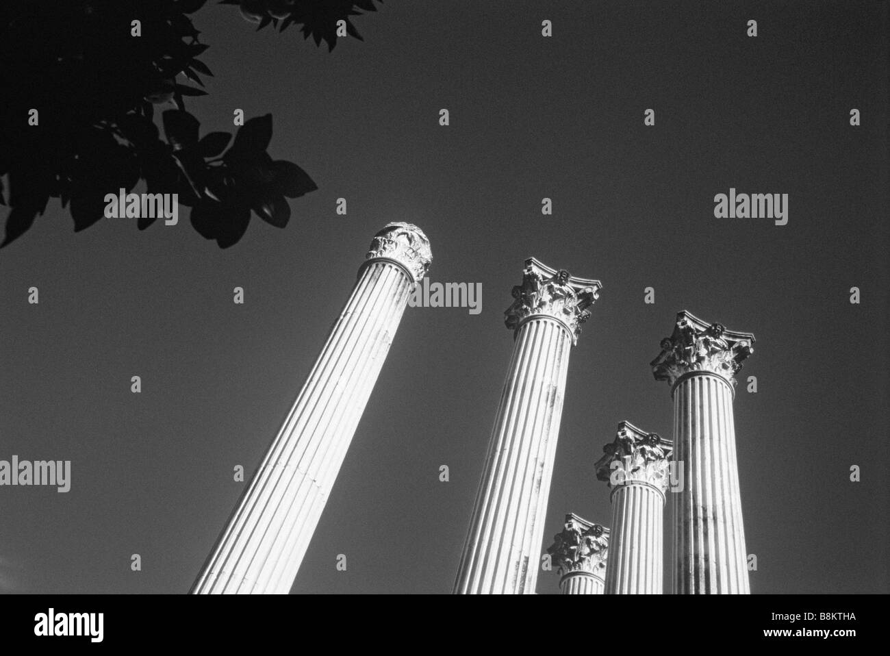 Pilastri inclinati immagini e fotografie stock ad alta risoluzione - Alamy