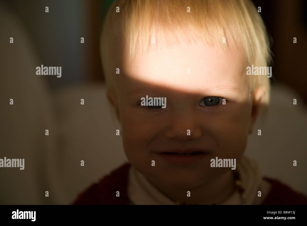 Dodici mesi immagini e fotografie stock ad alta risoluzione - Alamy