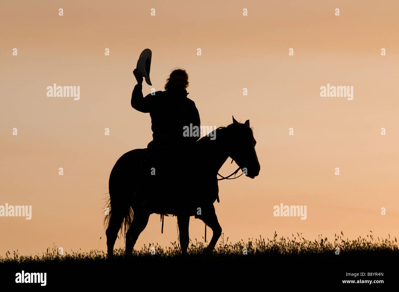 Sagoma di cowboy e cavallo immagini e fotografie stock ad alta ...