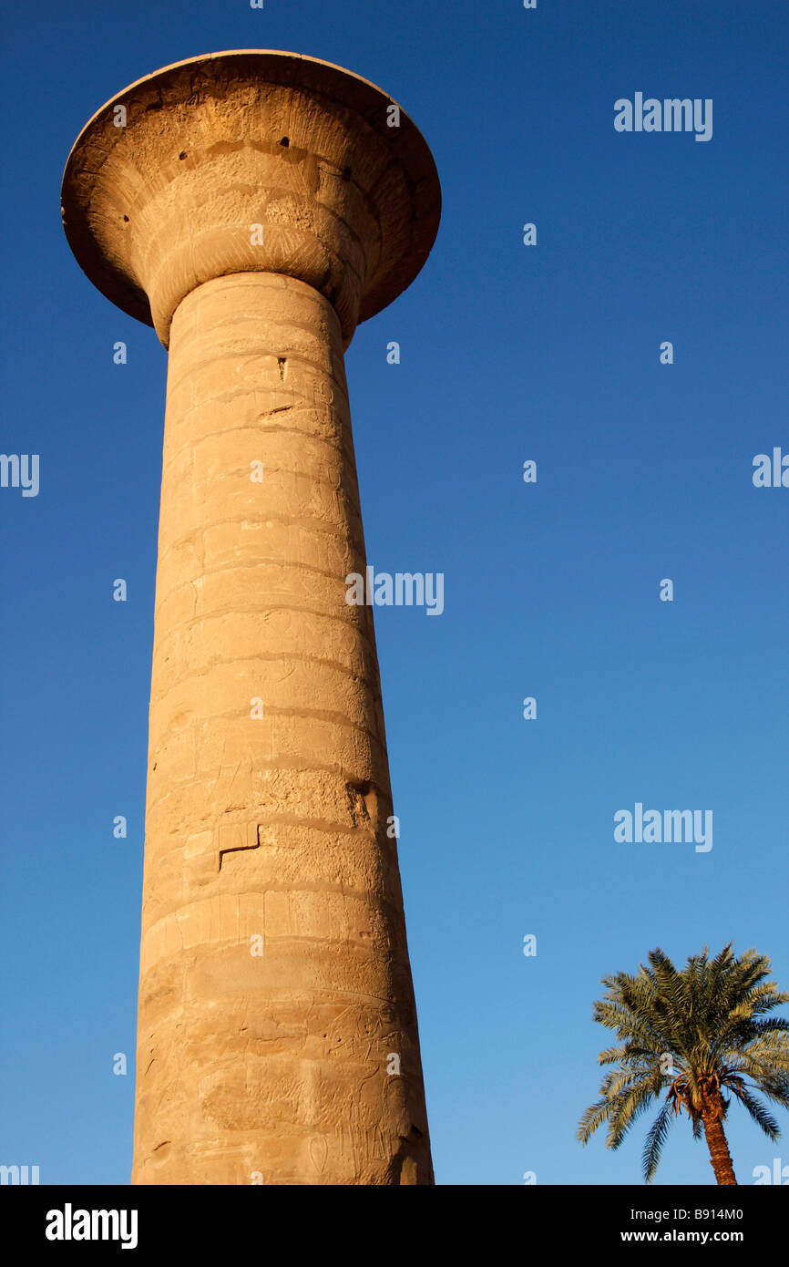 Colonna papiriforme immagini e fotografie stock ad alta risoluzione - Alamy