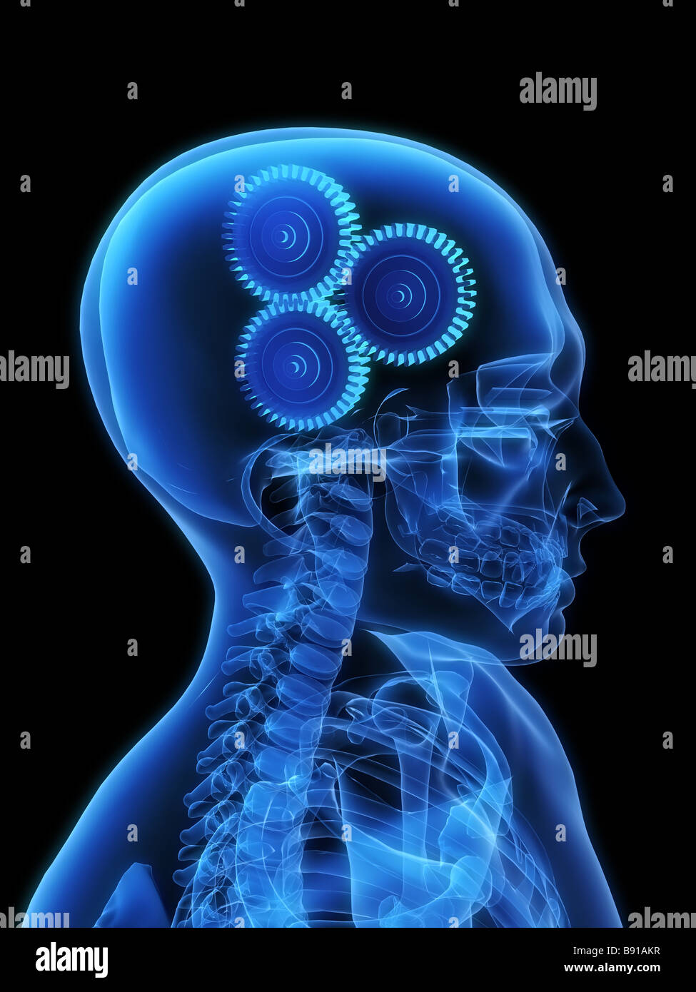 Testa umana con ingranaggi immagini e fotografie stock ad alta ...