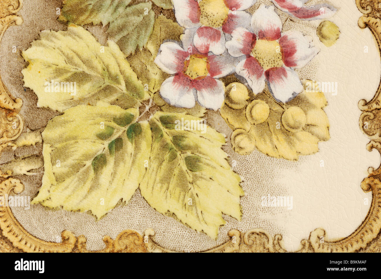 Pergamene floreali dipinte immagini e fotografie stock ad alta ...