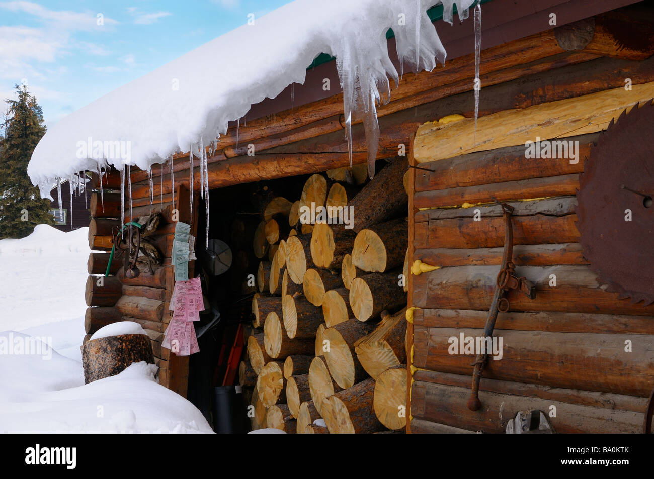 Legnaia al triangolo X ranch Grand Teton National Park con Bridger ...