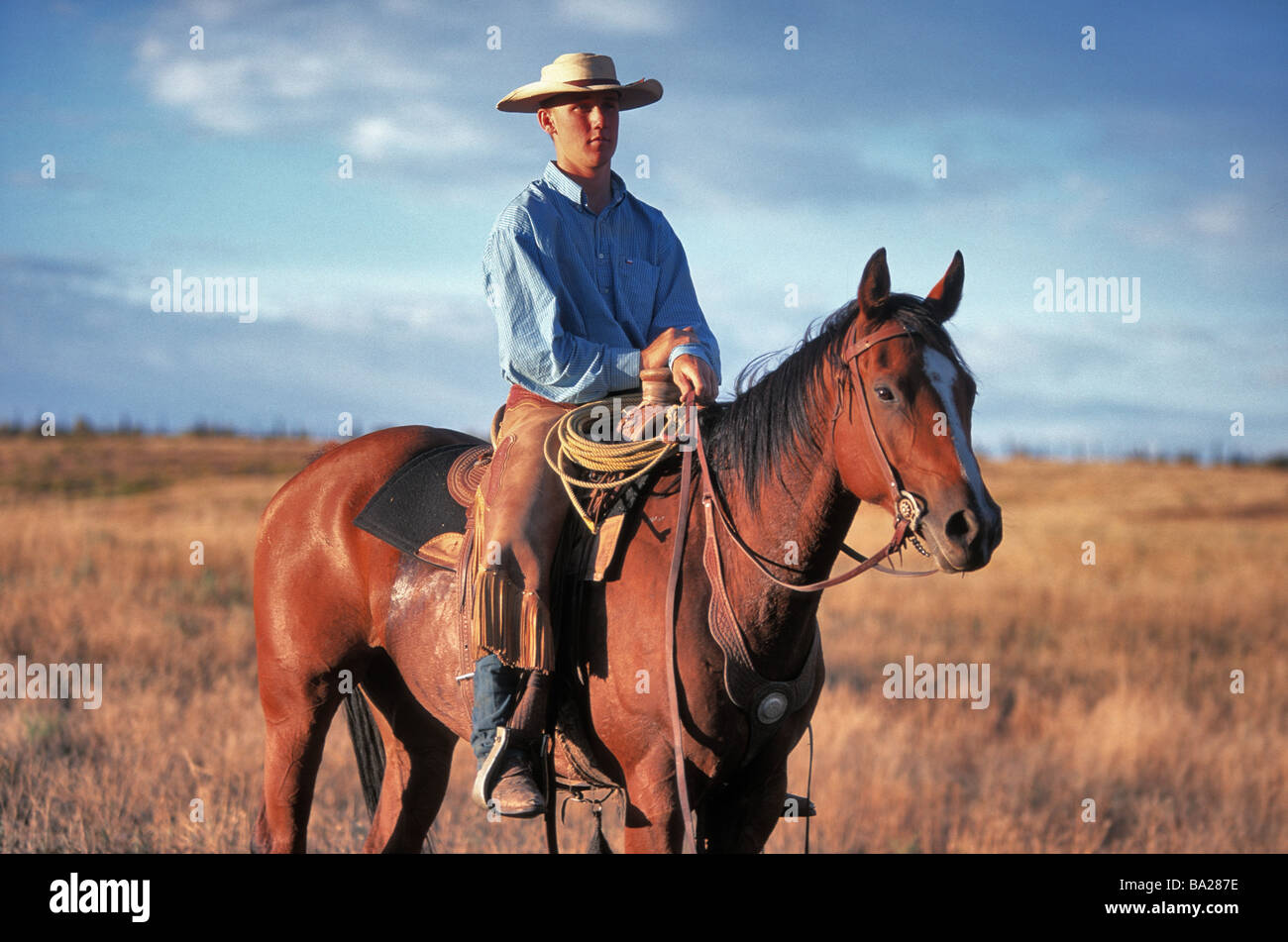 USA Oregon cowboy a cavallo dettaglio Nord America paesaggio farm-paese ...