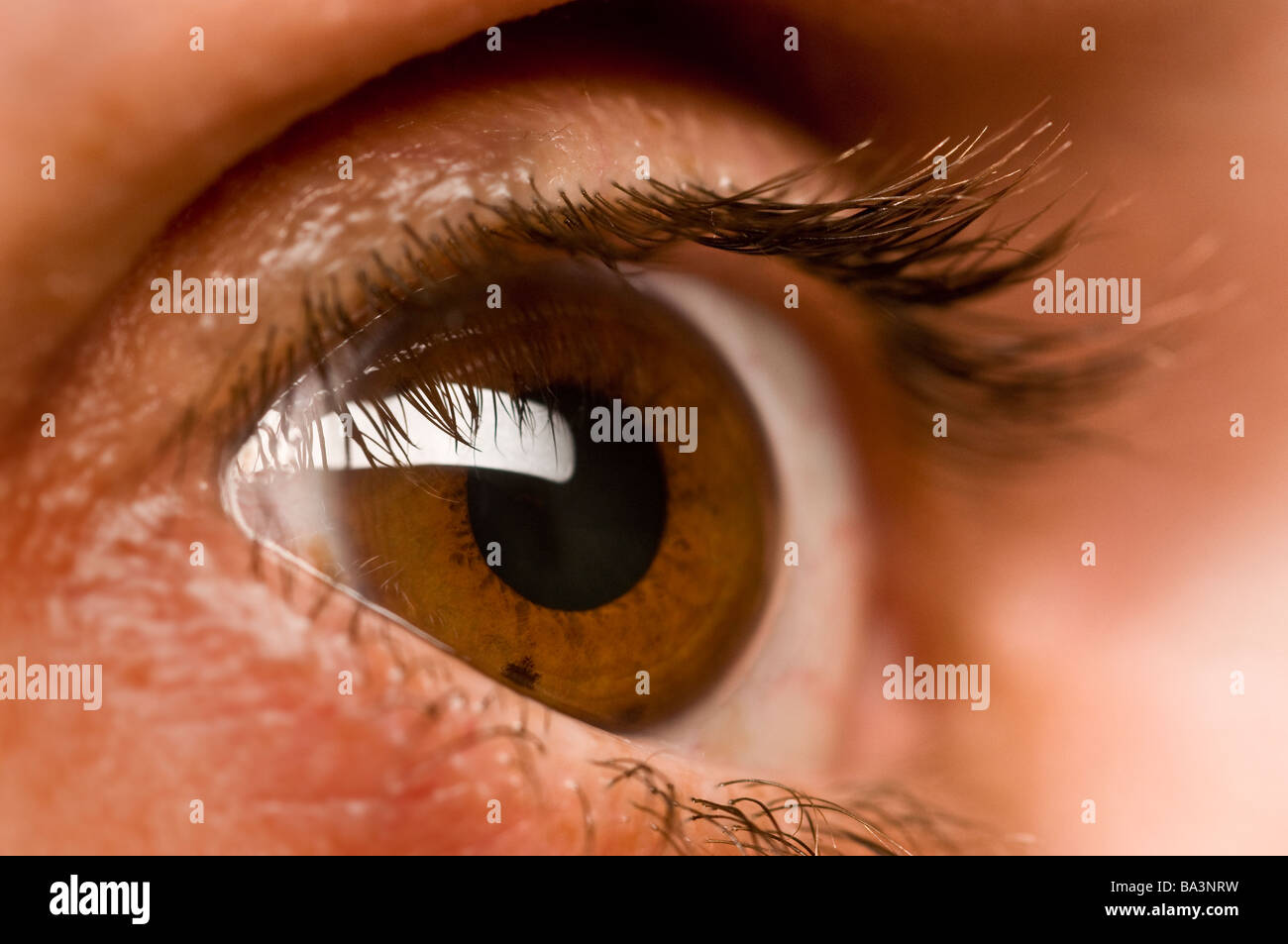 Occhio Ti Vedo Immagini e Fotos Stock - Alamy