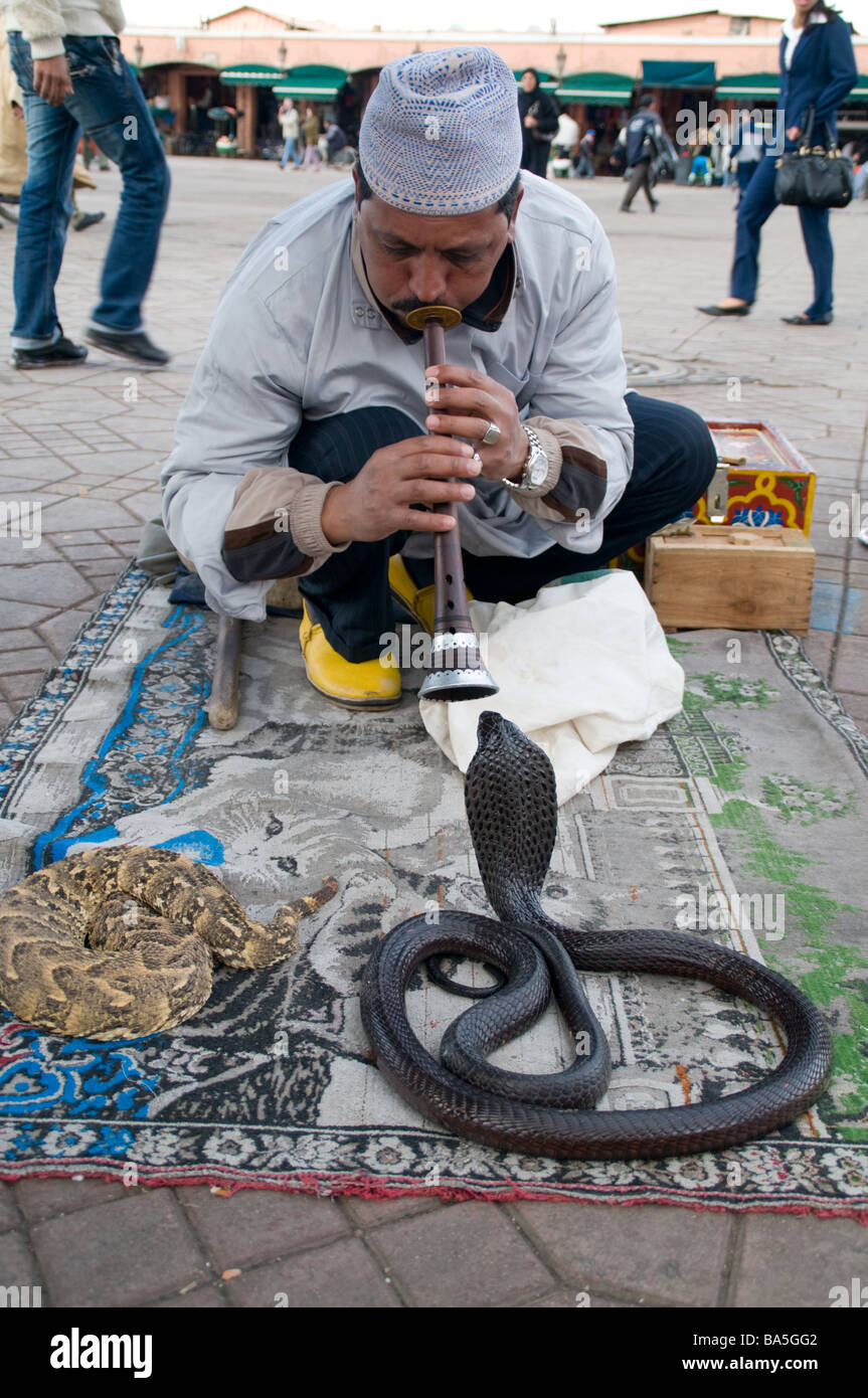 Il serpente incantatore in Djemaa El Fna a Marrakech Foto stock - Alamy