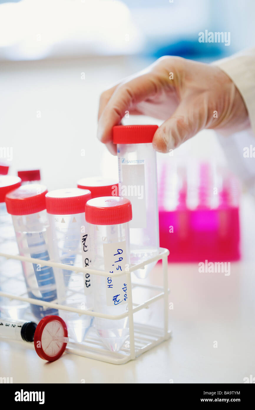 Test Di Tubi Immagini e Fotos Stock - Alamy