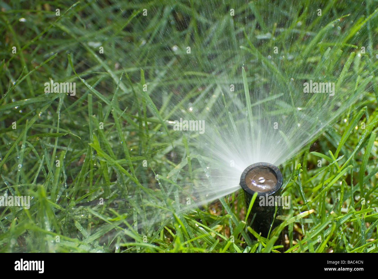 Lawn sprinkler immagini e fotografie stock ad alta risoluzione - Alamy
