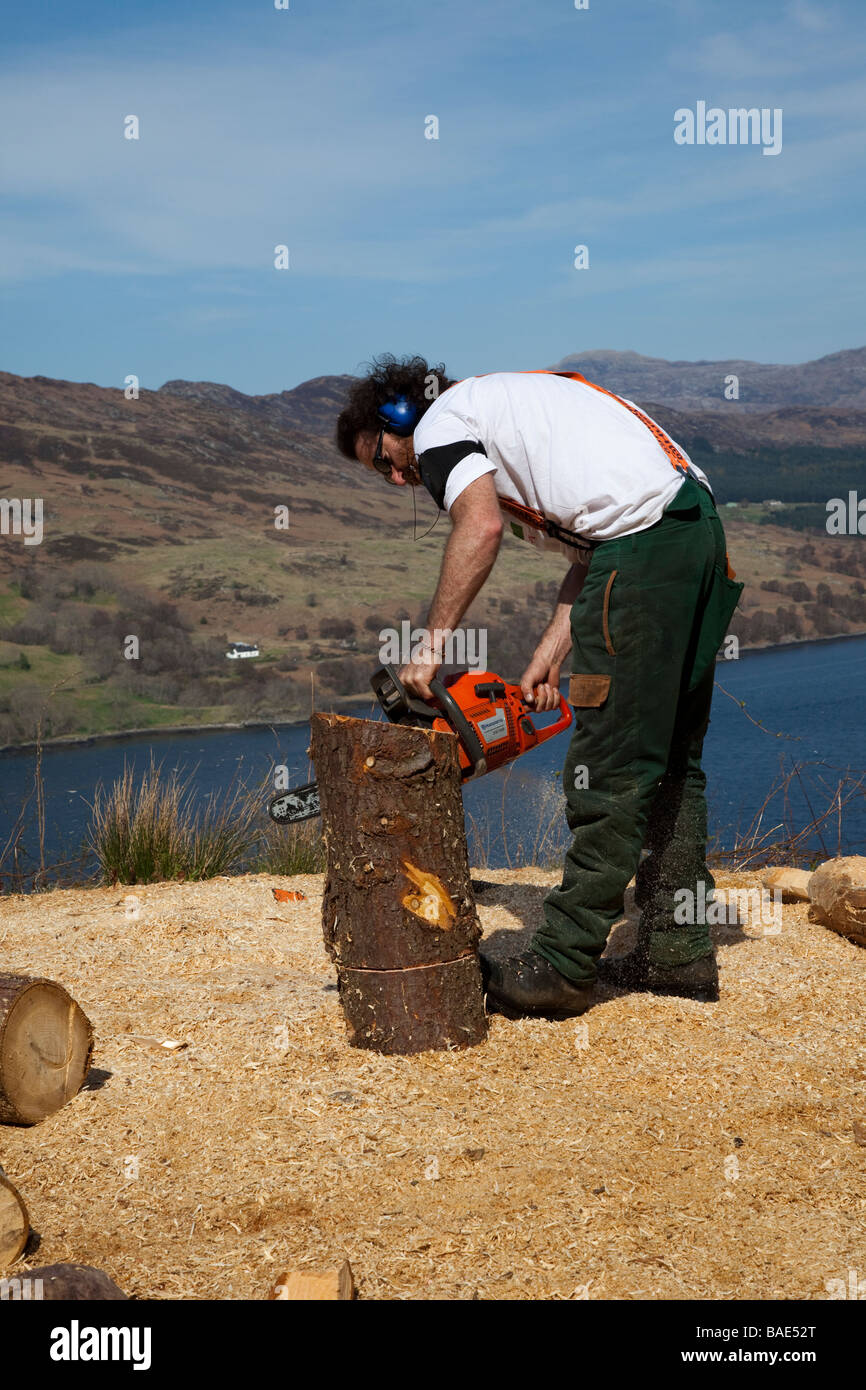 Taglialegna, scultura per motosega uno sport popolare e hobby per molti ...