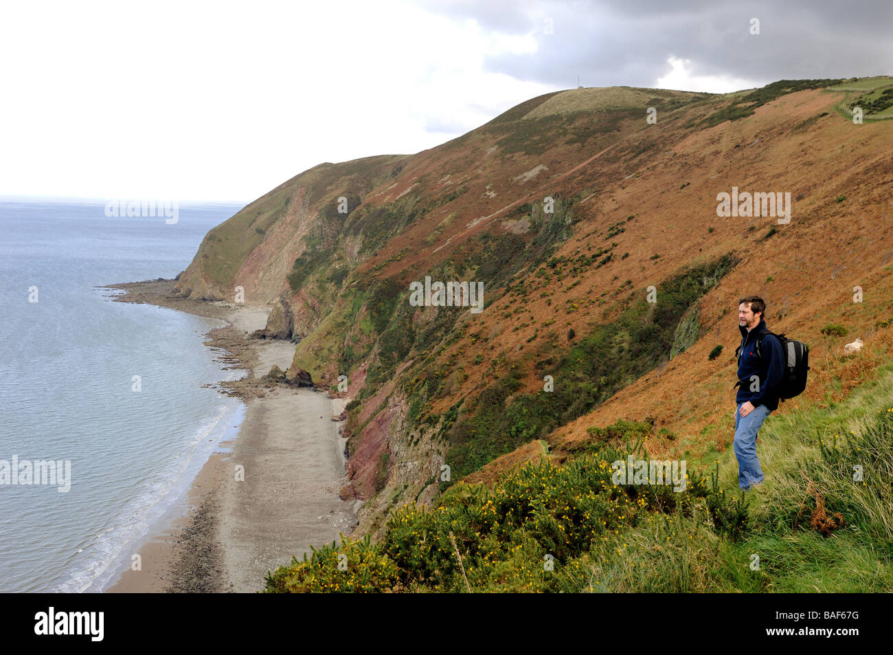 Vista dei devon walker immagini e fotografie stock ad alta risoluzione ...